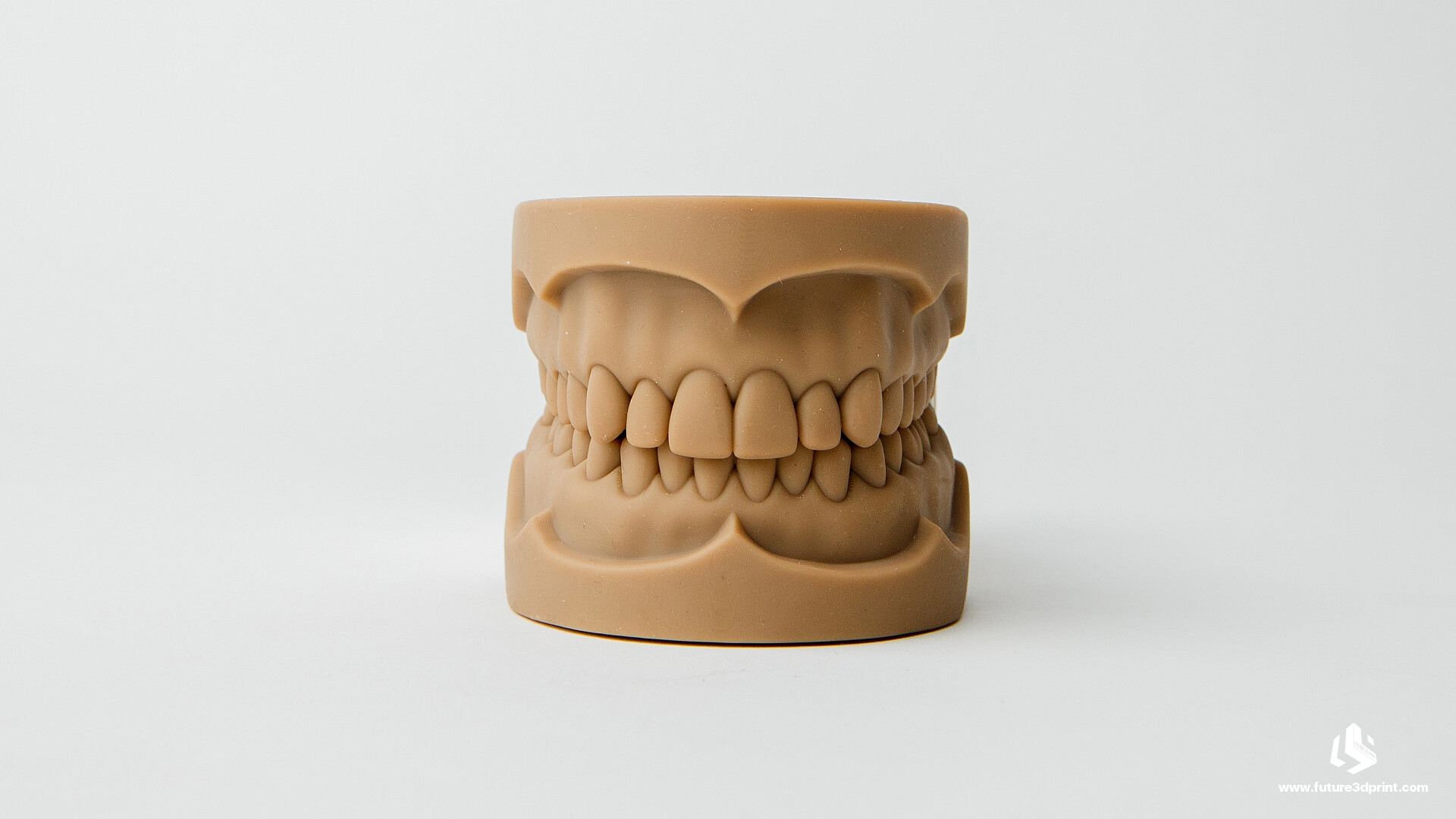 ArtStation - Teeth and gums - 3d print