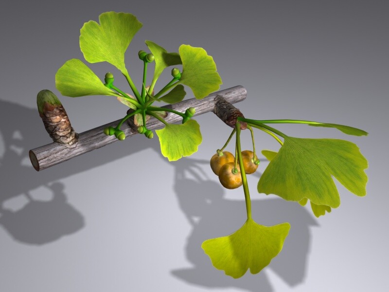 pete burrows - Organic artwork. Plants