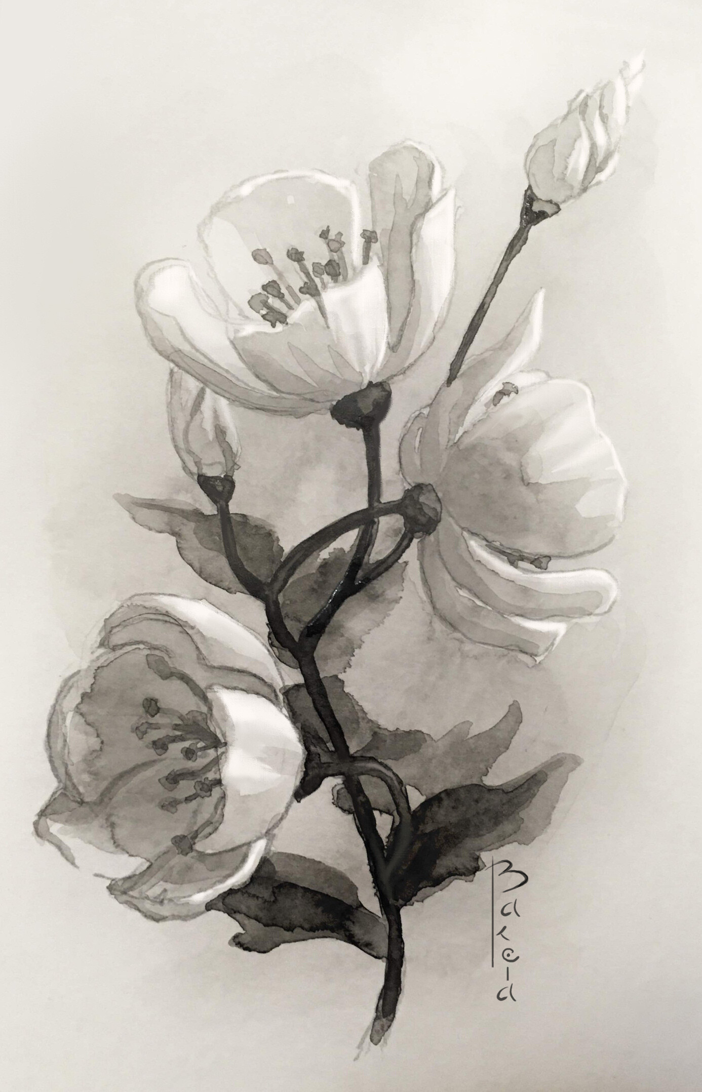 ArtStation - Ink flowers