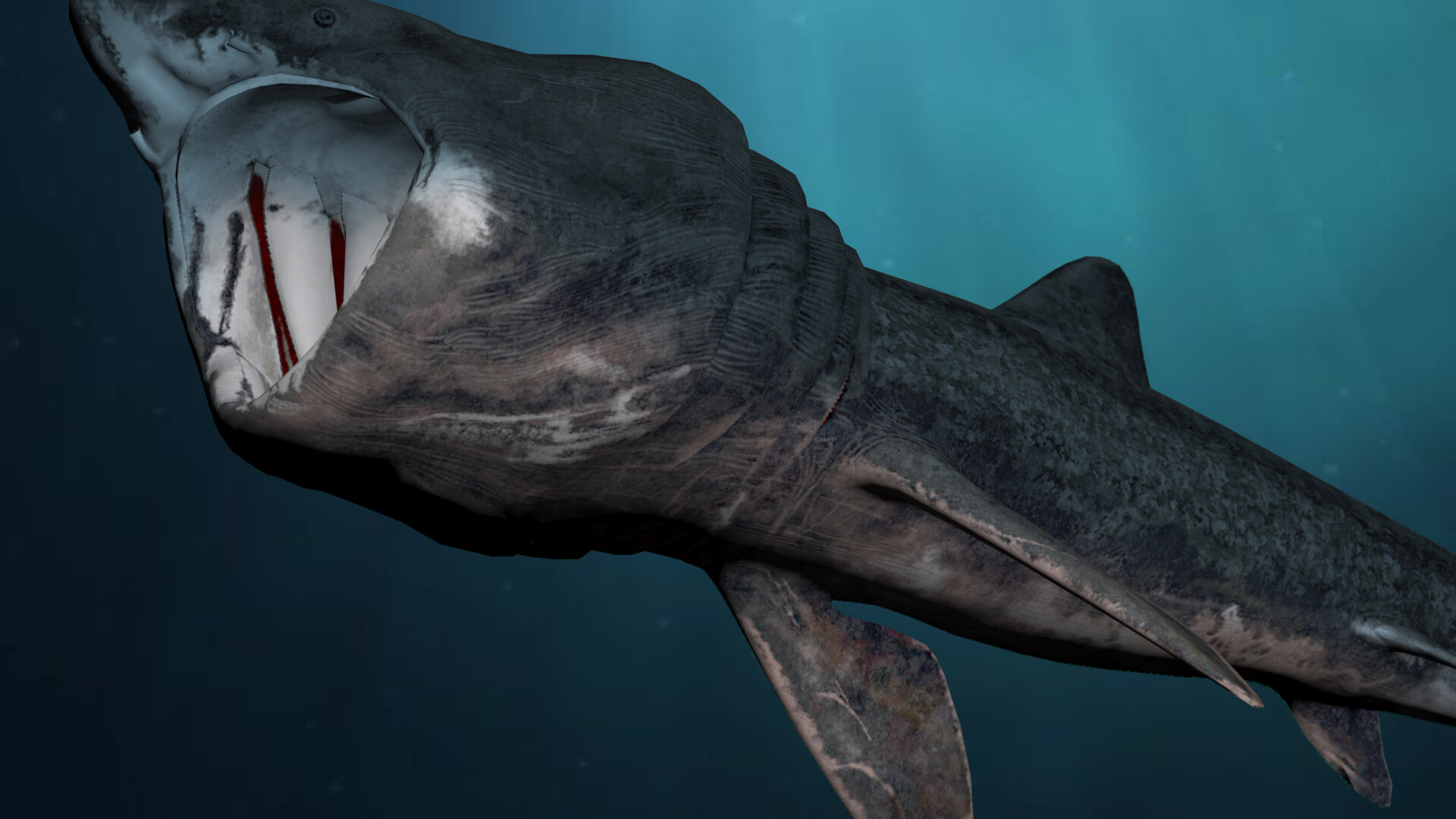 pete burrows - VR Basking Shark