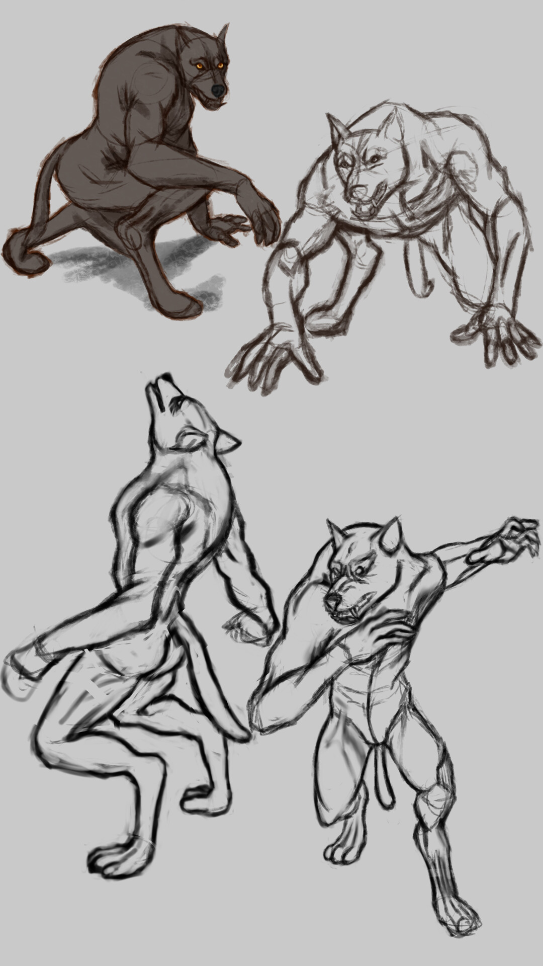 werewolf drawing reference