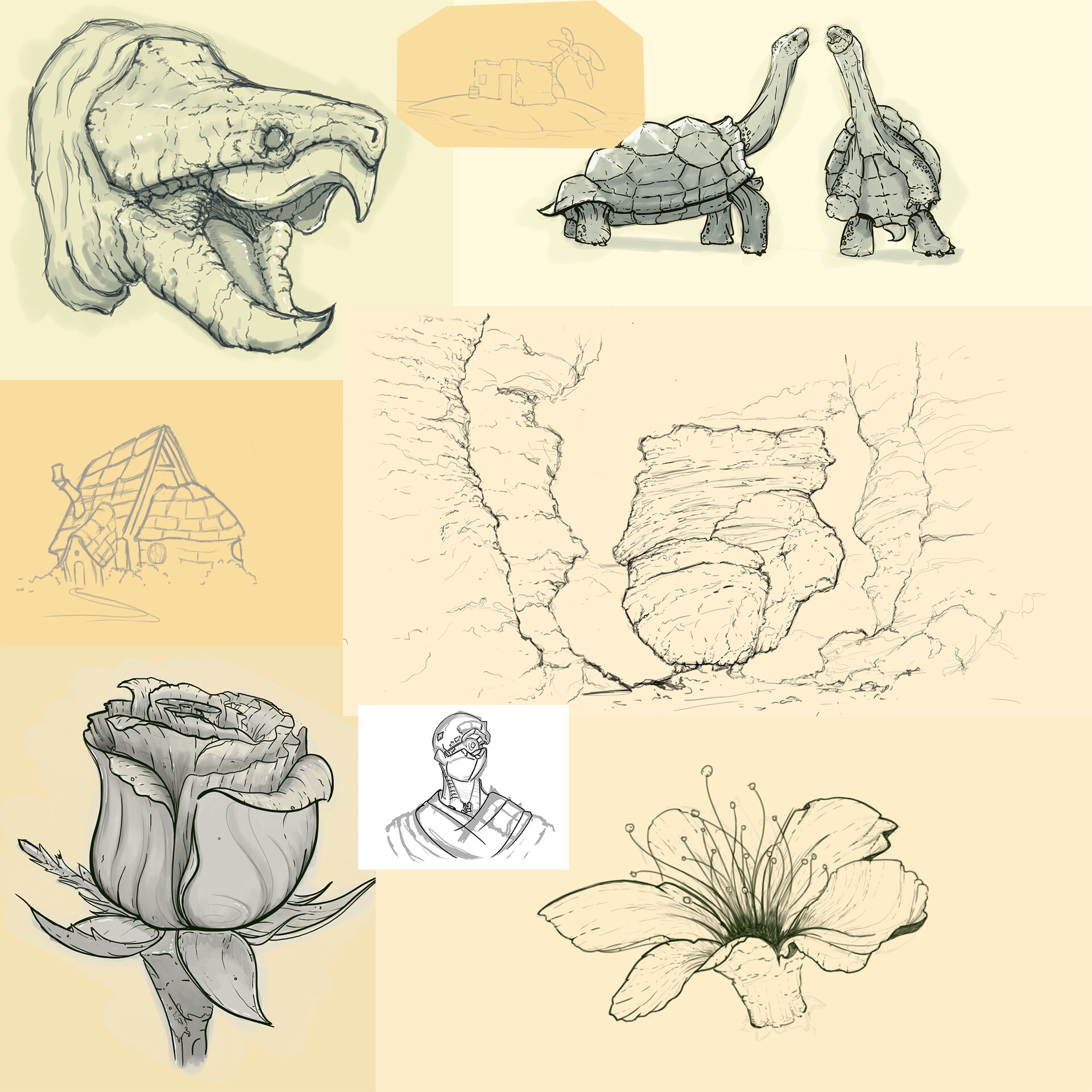 ArtStation - Drawing Studies