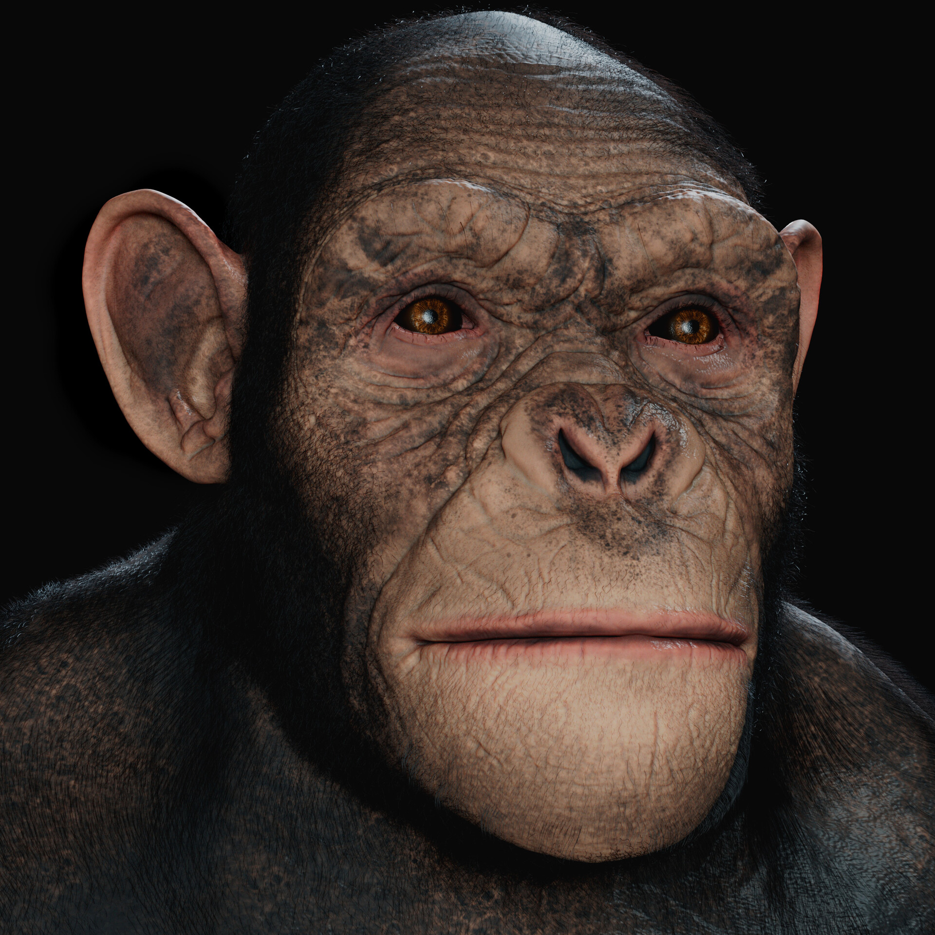 ArtStation - monky