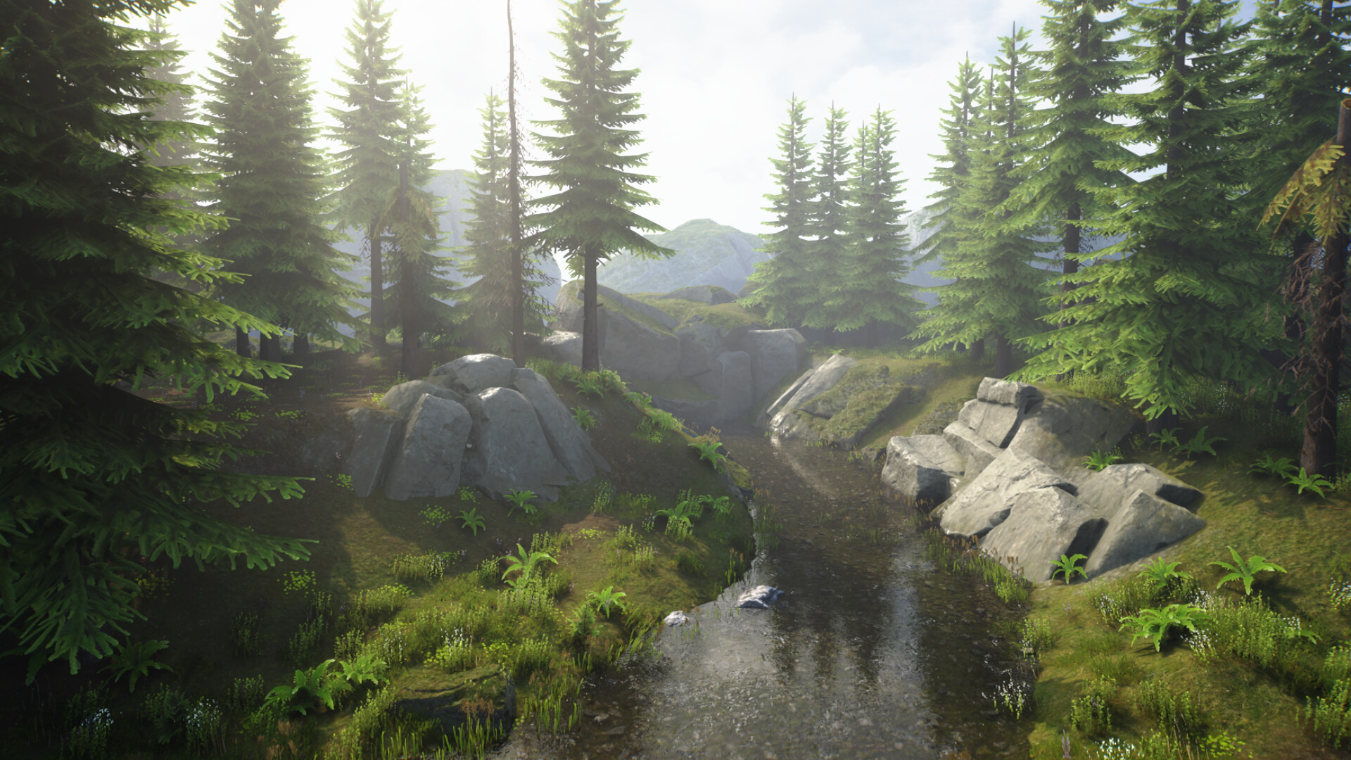 Emiliano Vargas - Big Rock Forest