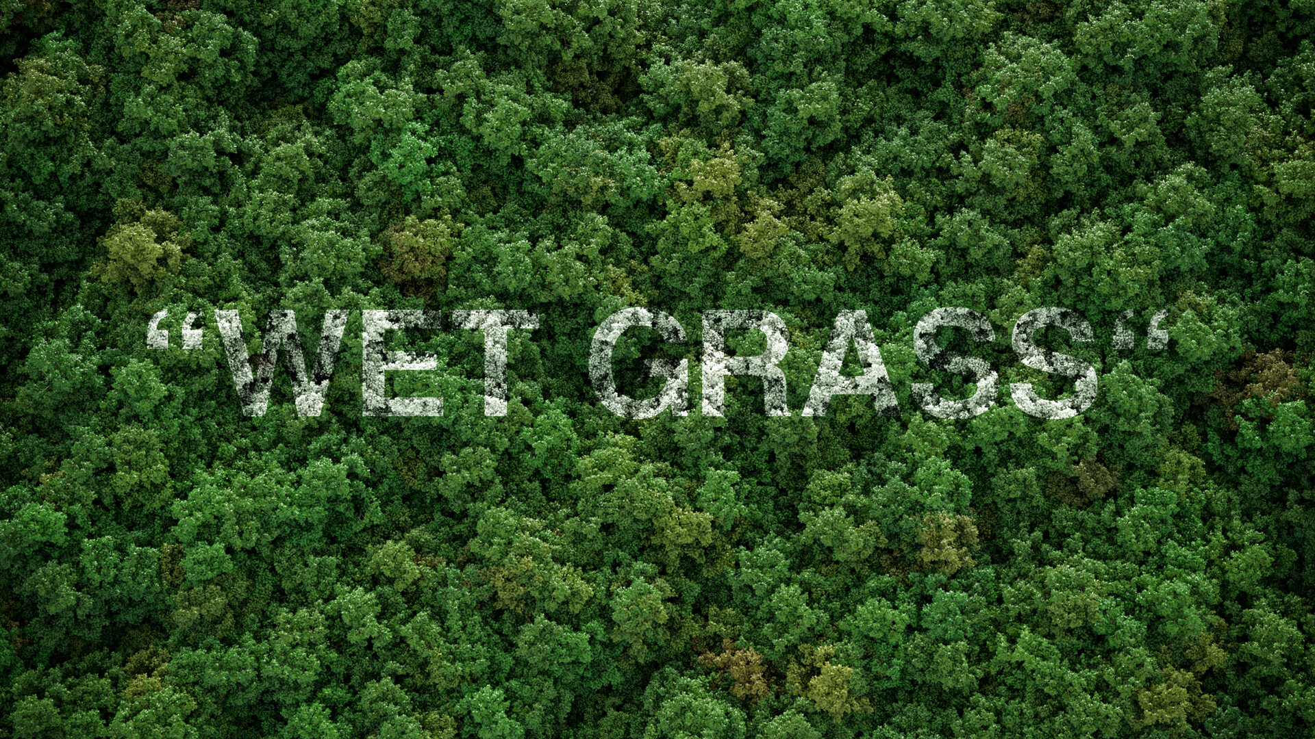 ArtStation - "WET GRASS"