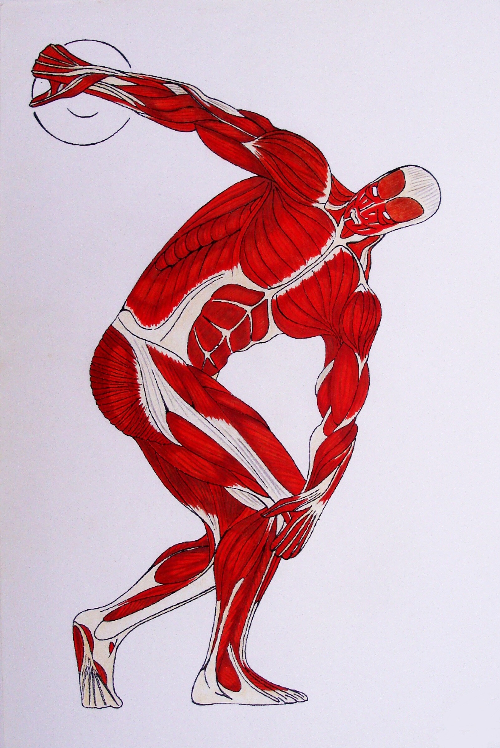 ArtStation - DISCOBOLUS