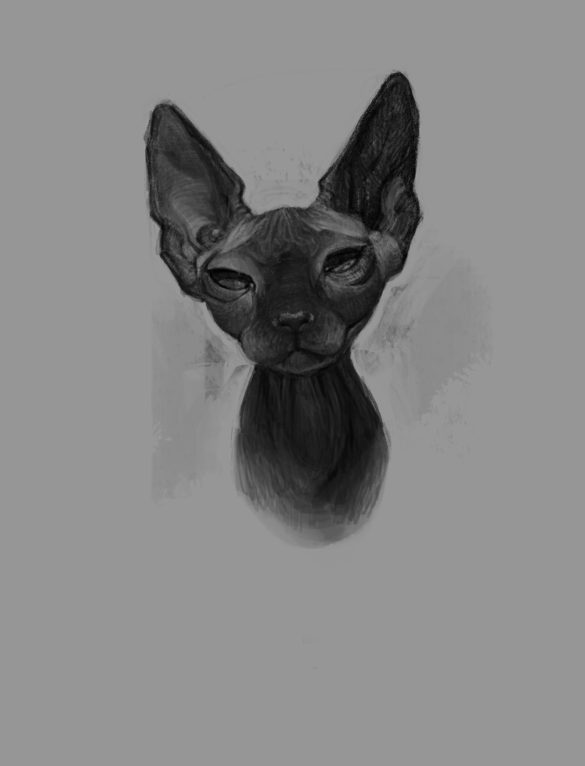 ArtStation - Sphinx cat 2