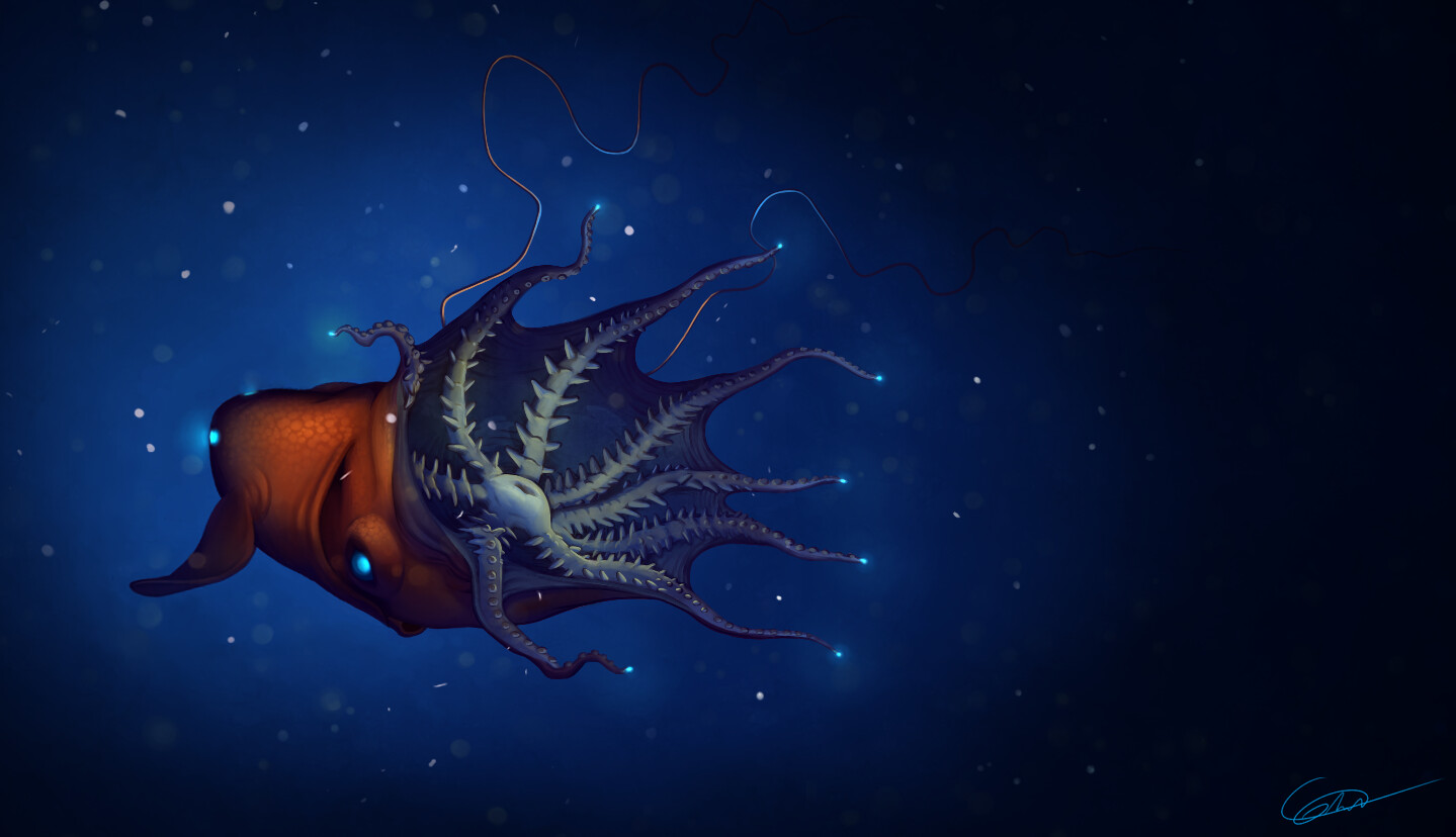 ArtStation - Vampire des abysses, Vampyroteuthis infernalis