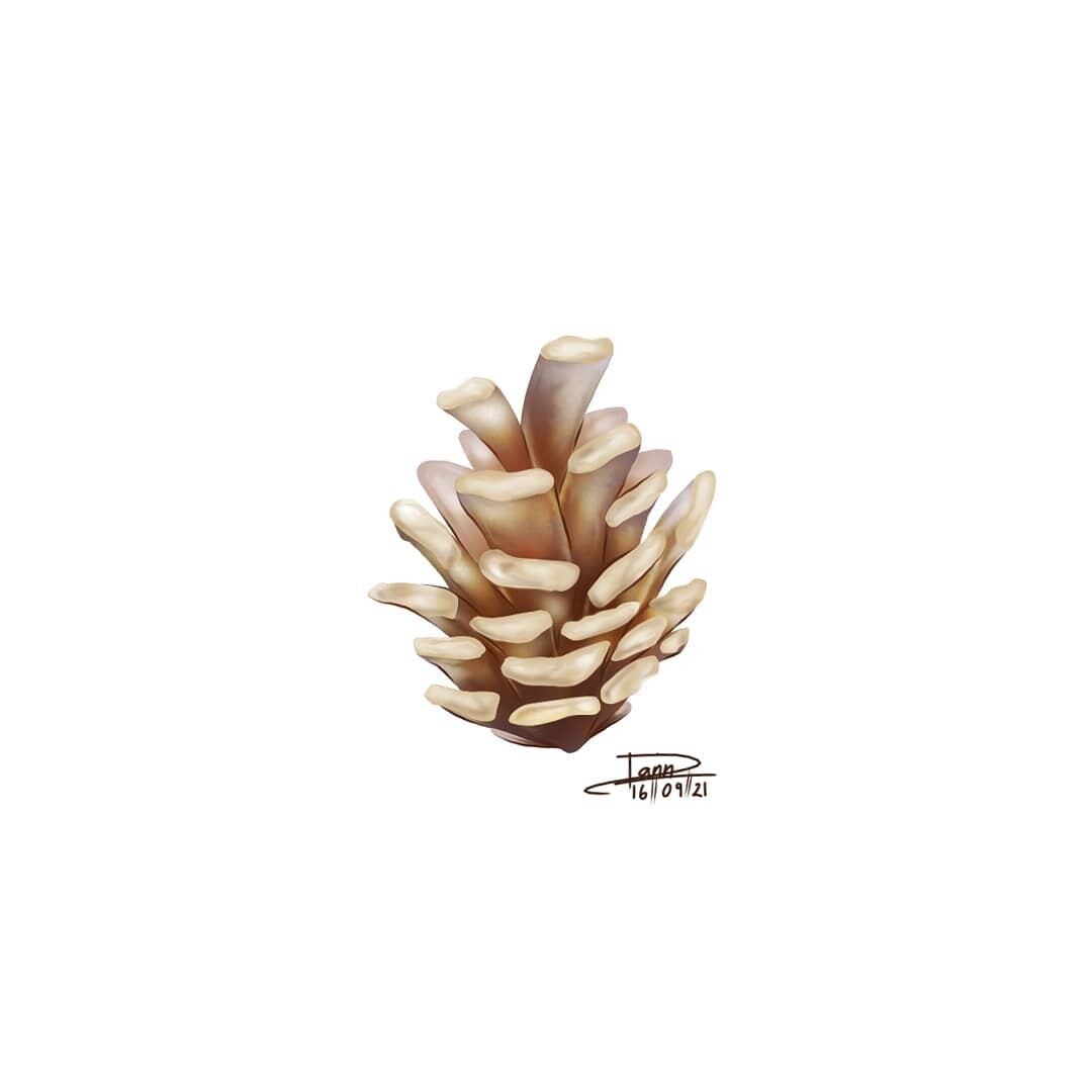 ArtStation - Digital Watercolor Studie 3 (Pinecone)