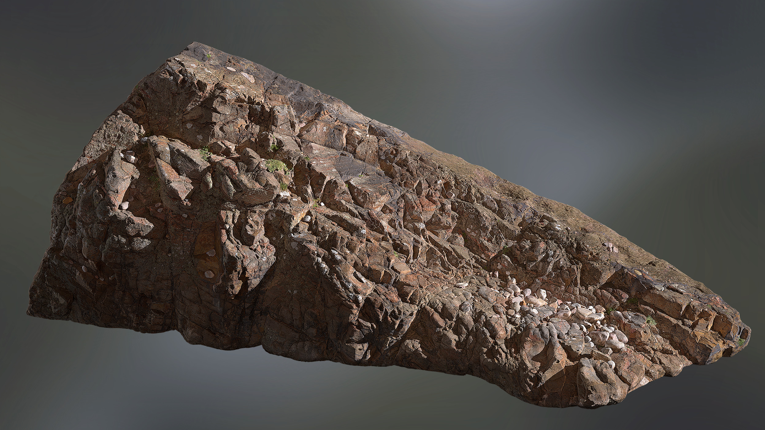 Belén Burgos - Megascans 3D Assets - Nordic Coast