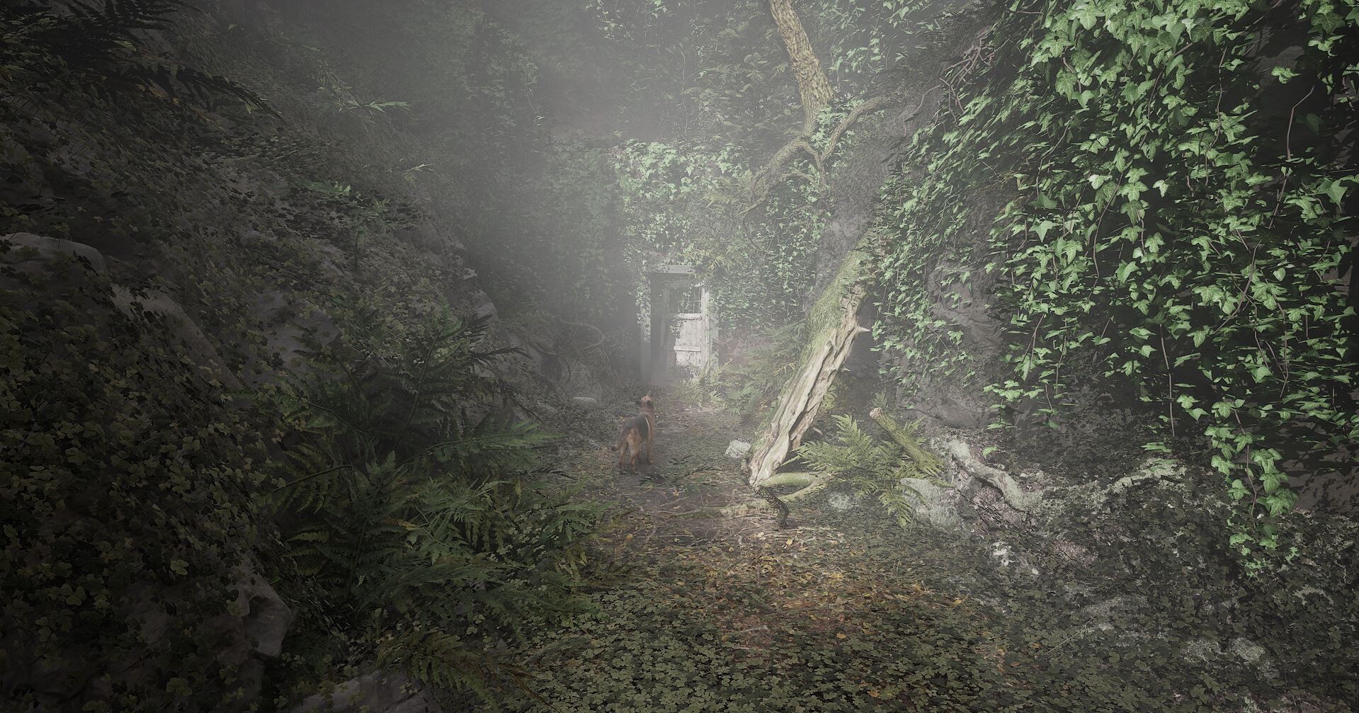 ArtStation - The Entrance (Legend of Blair) UE 5.1