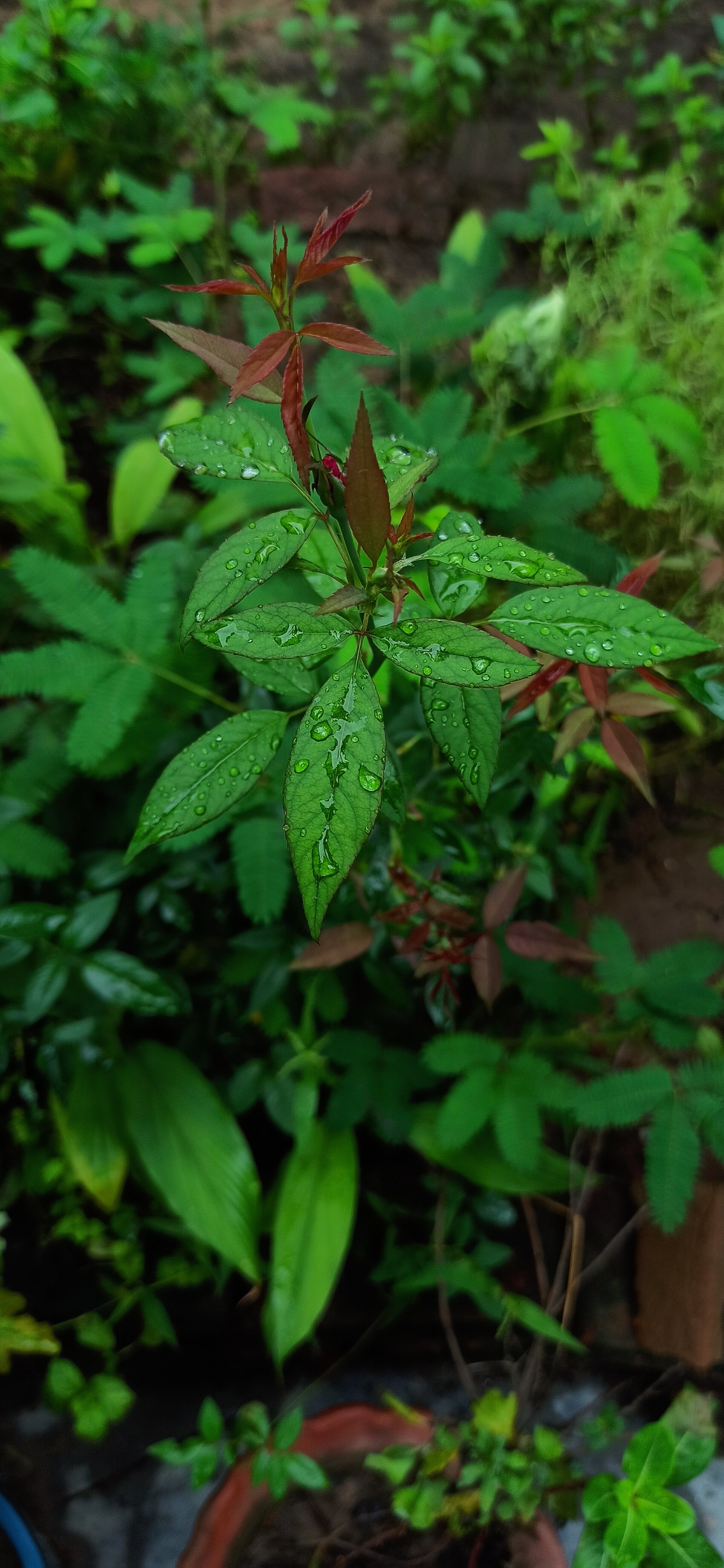 ArtStation - PhotoGraphy (Non-edited Photos)