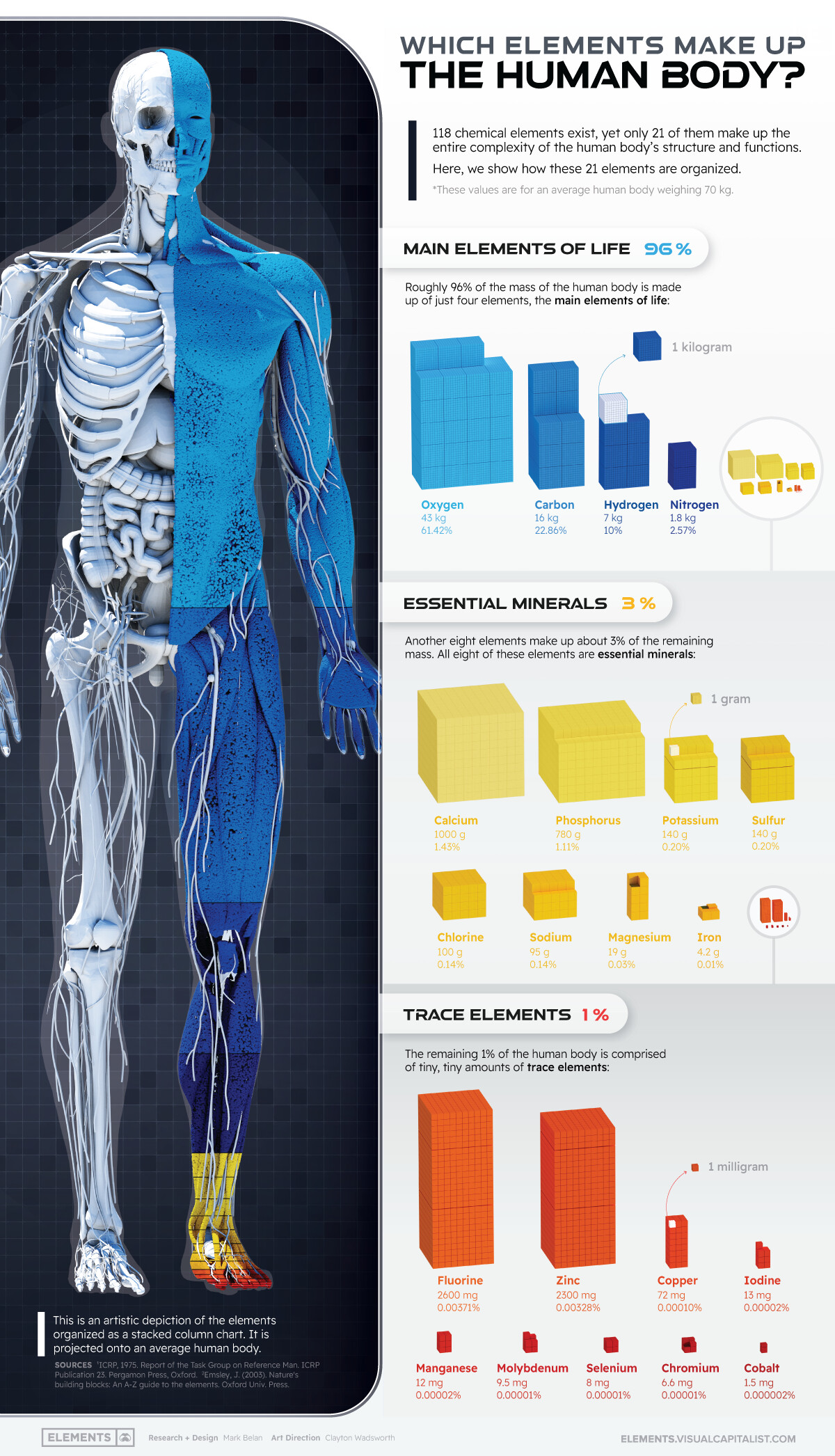 ArtStation - Which Elements Make Up The Human Body?