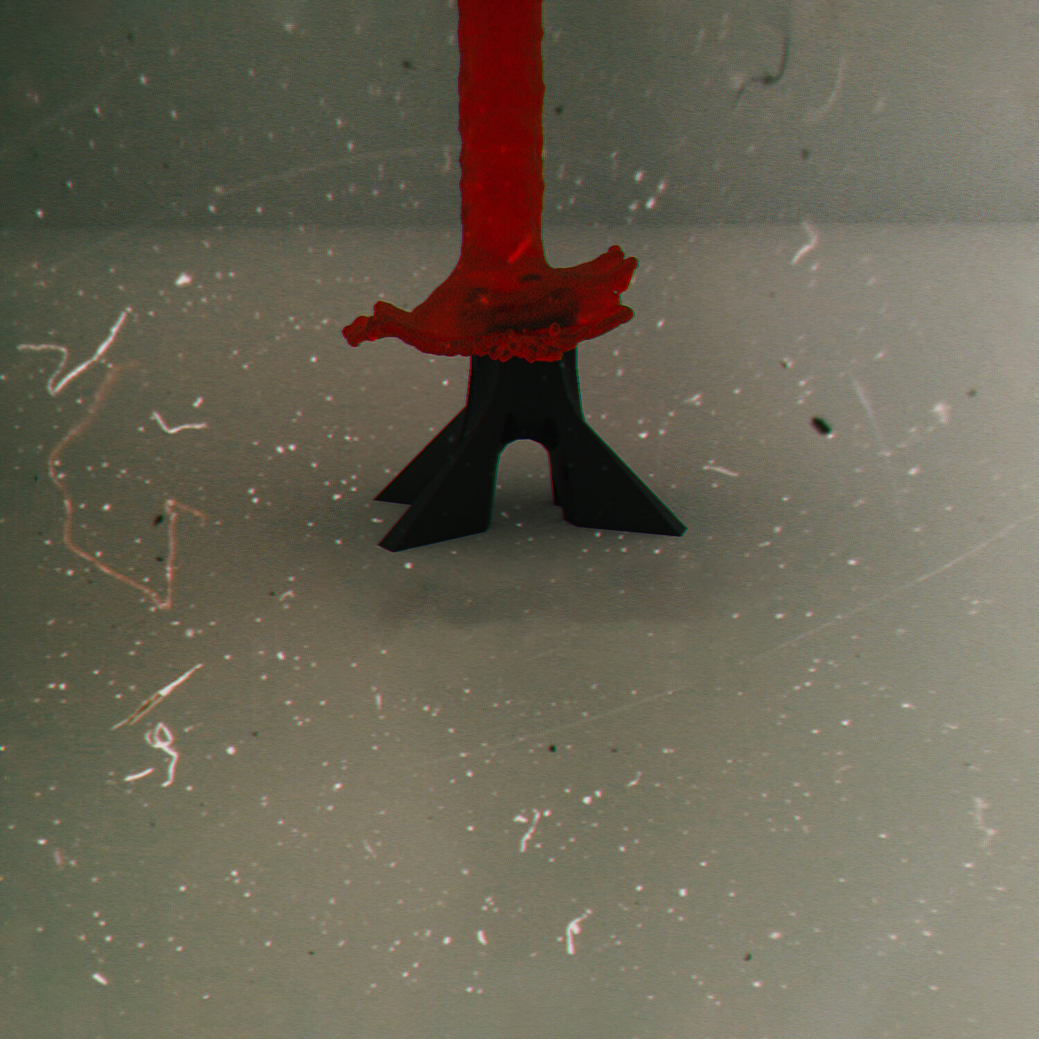 ArtStation - Bloody November