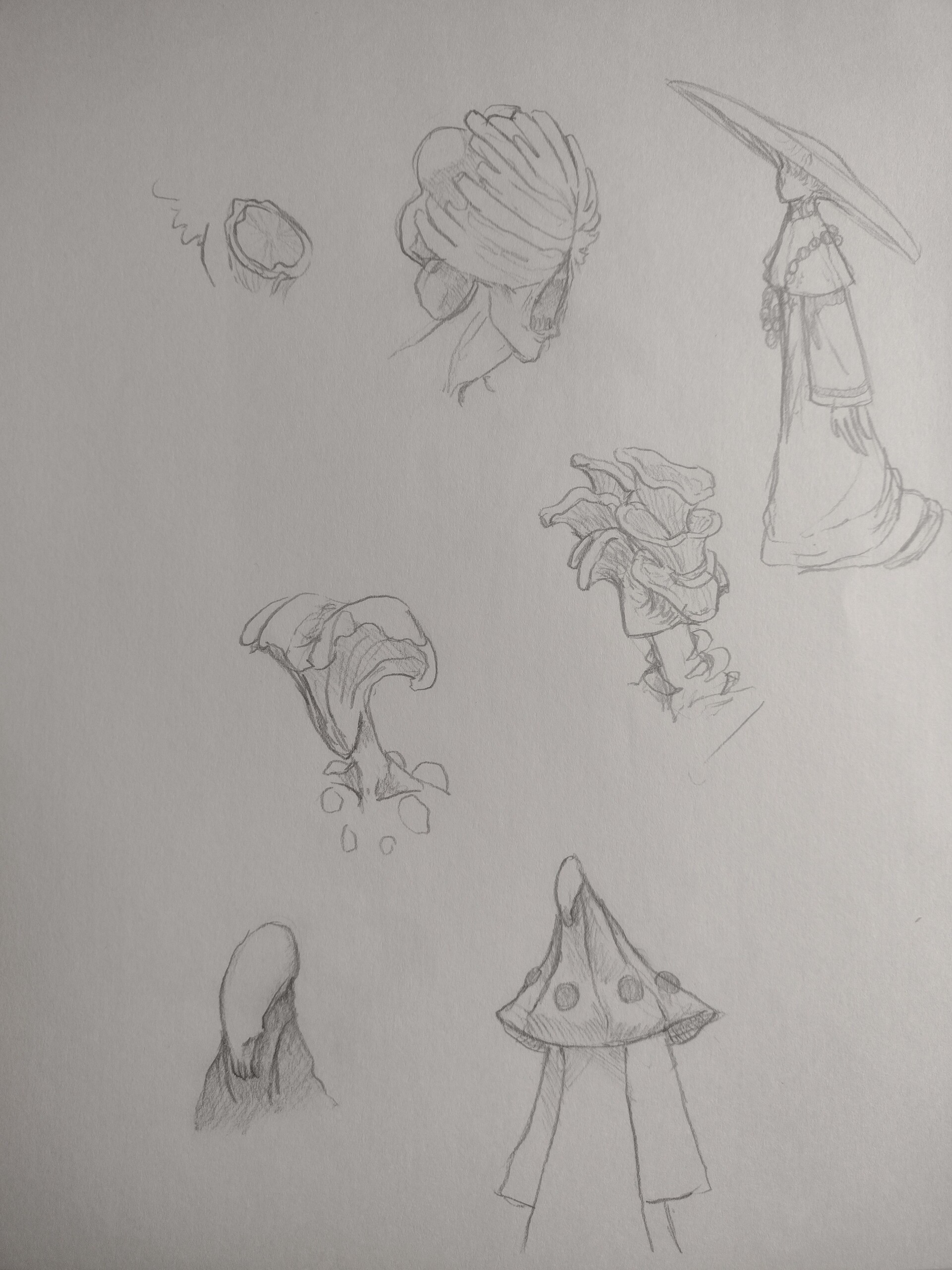 Arturo Calle - Hydnellum peckii