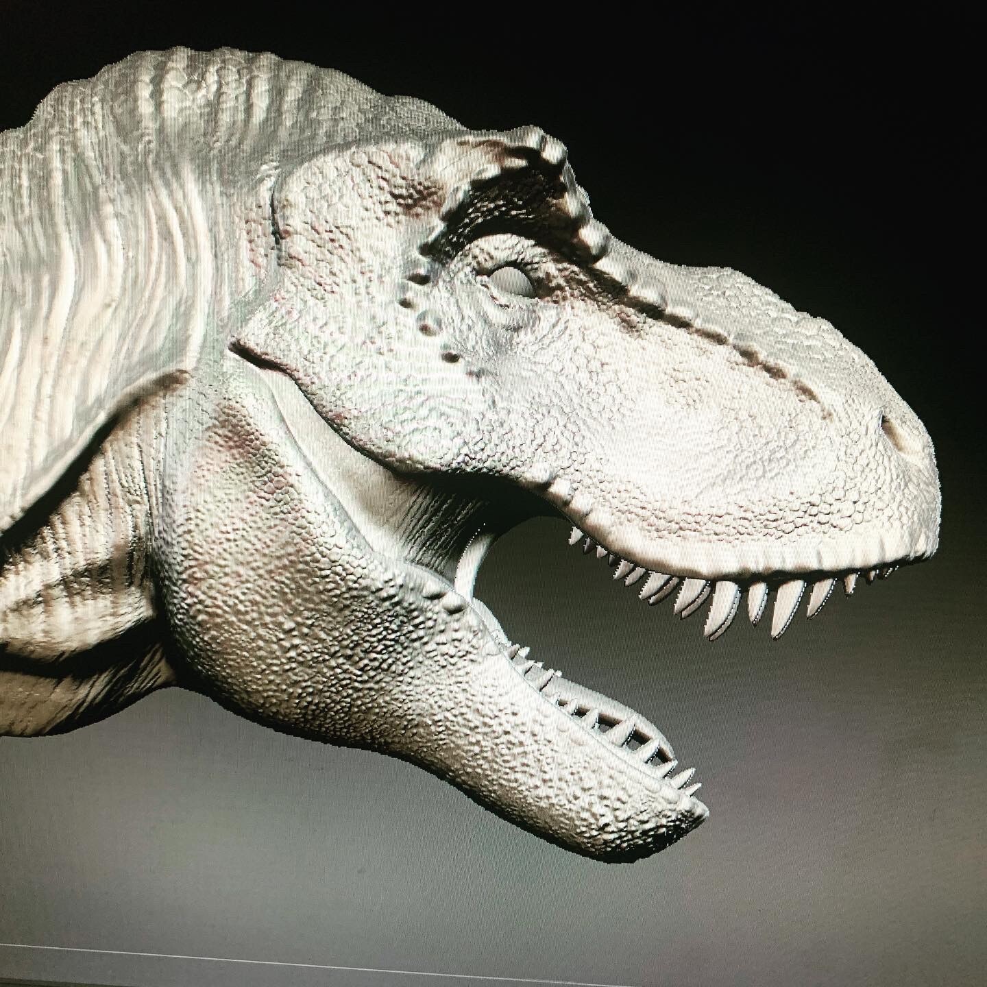 t rex head side view