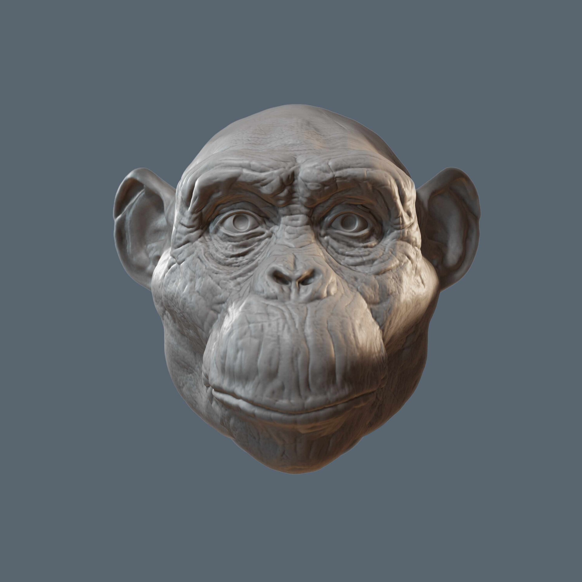 ArtStation - Head of a Chimpanzee