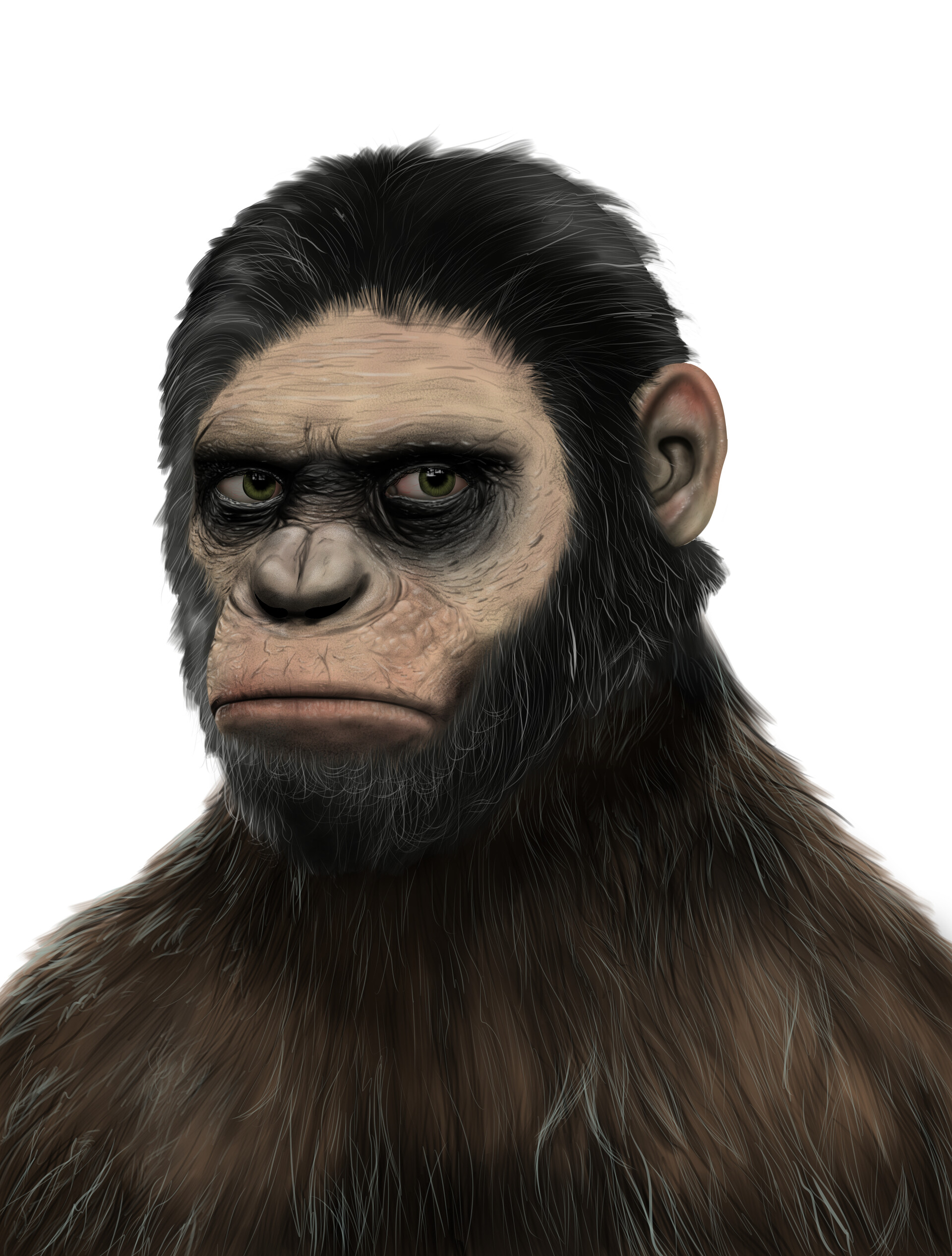 Gaston Laurens - Ape