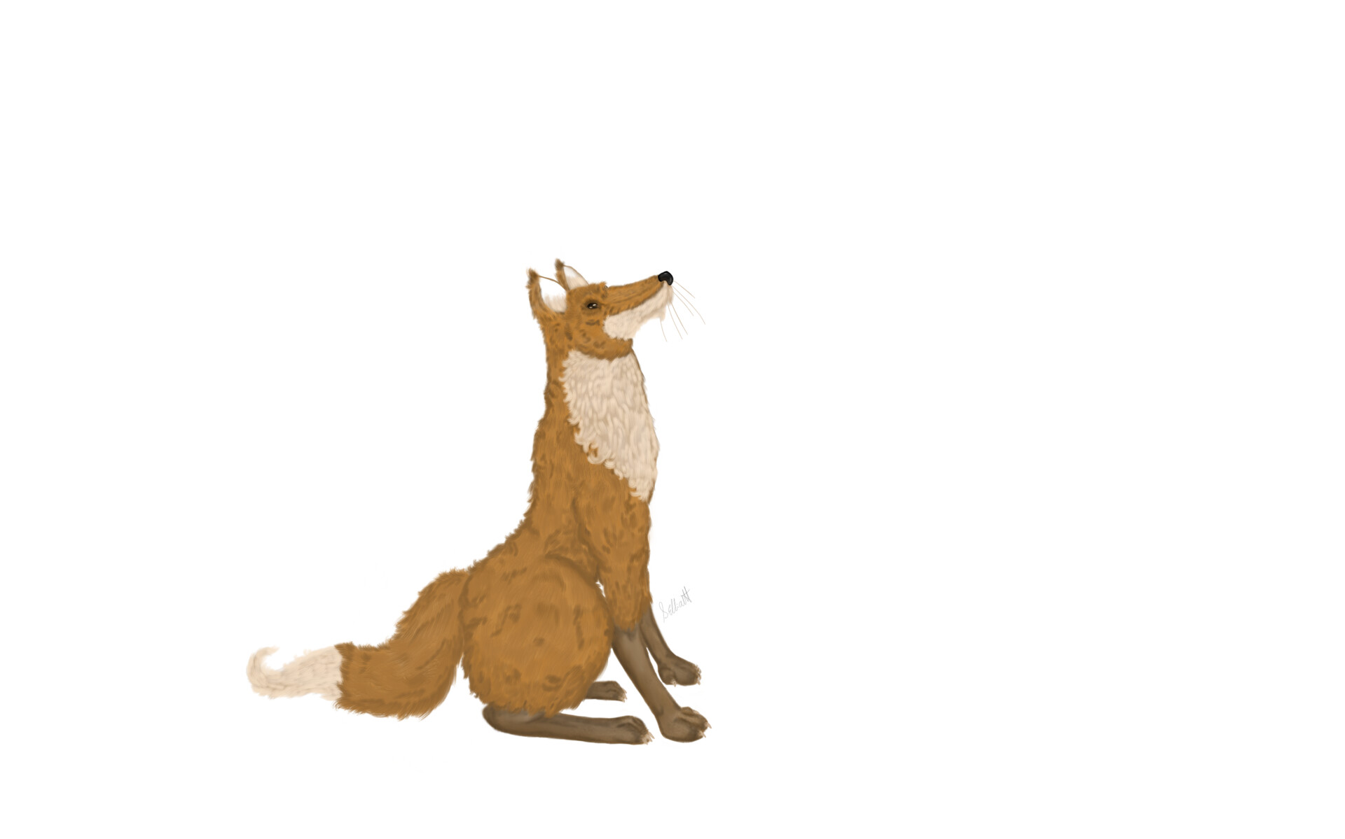 ArtStation - Fox digital drawing