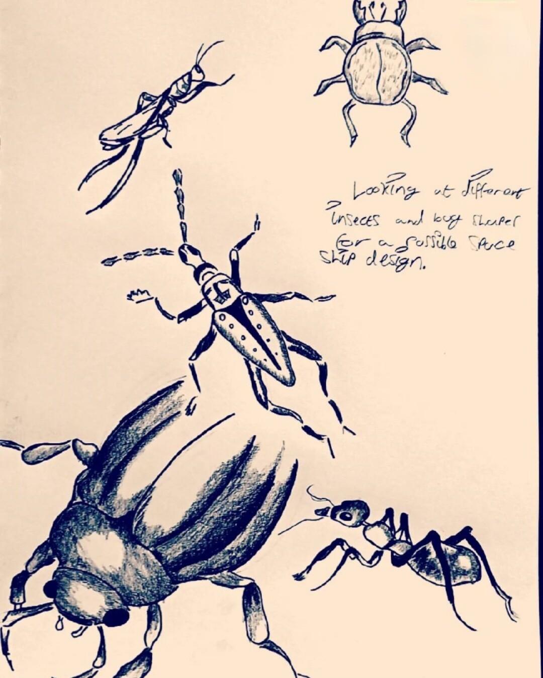 ArtStation - Bugs and the means to Squish them