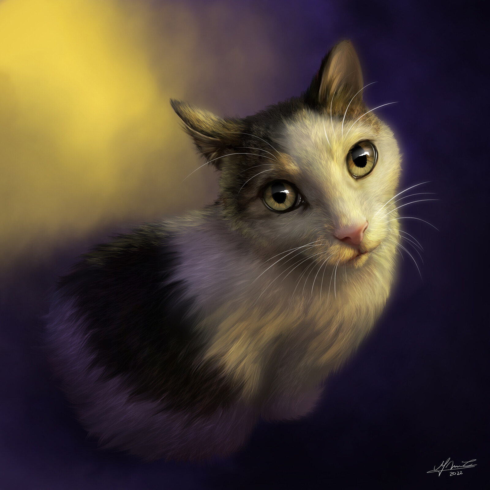 Art of Manuel J. Noreña C. - Willy Wonka the cat!