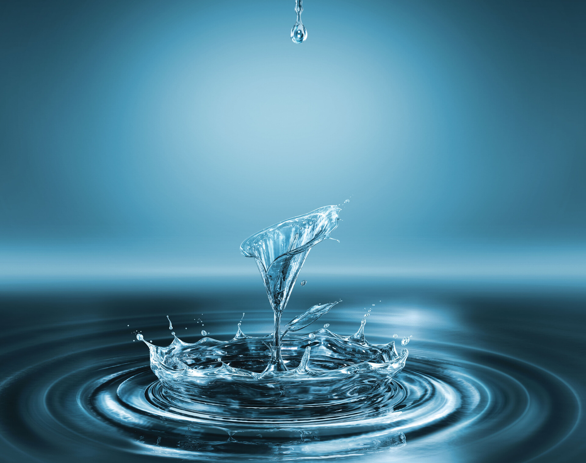 ArtStation - flower splash - Grival