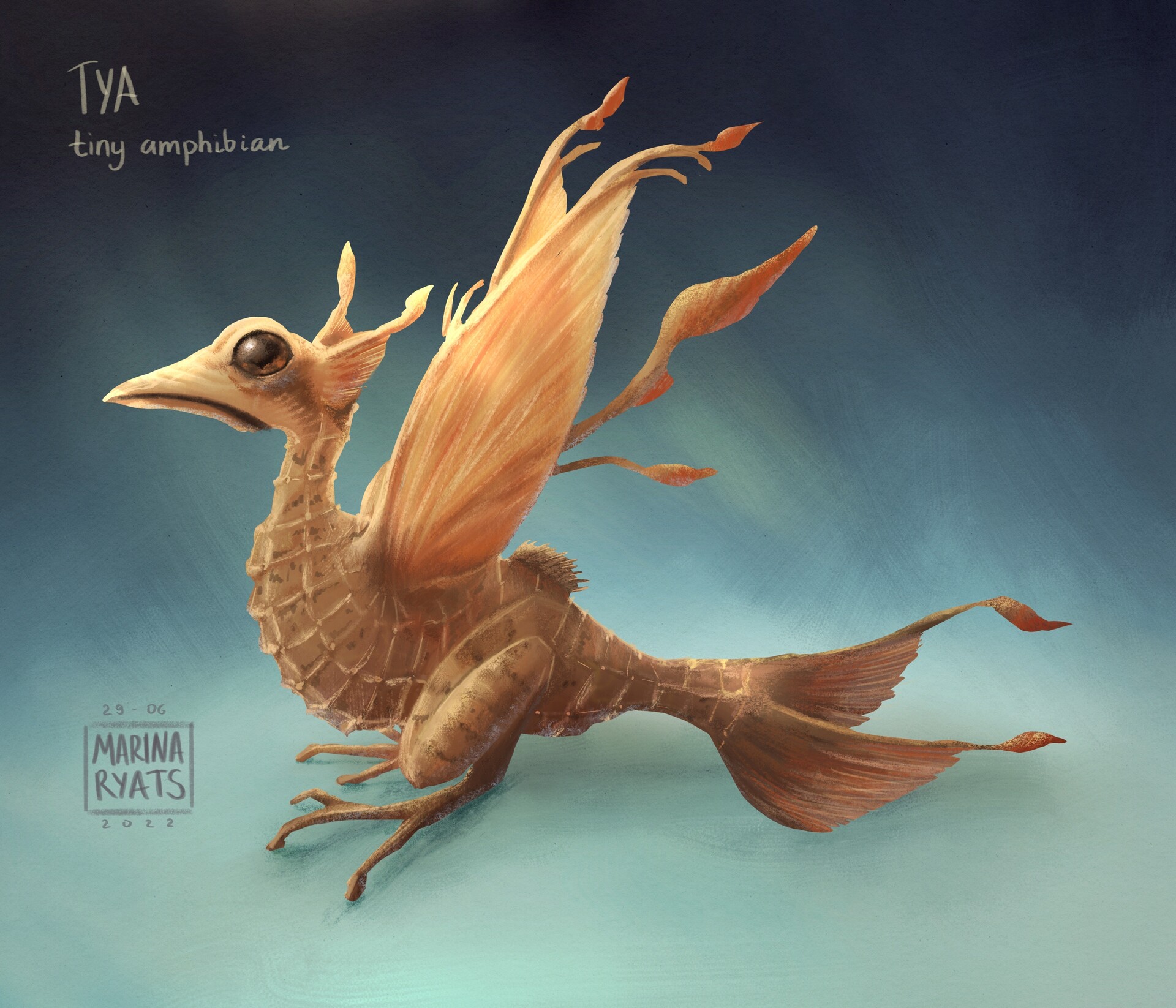 ArtStation - Tya, tiny amphibian species creature design