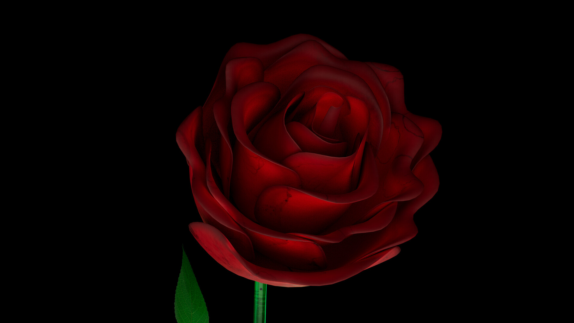 ArtStation - Red Rose