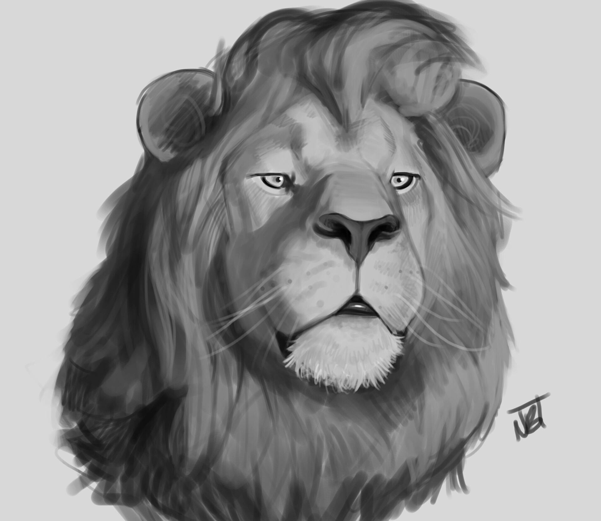 ArtStation - Animal Value Studies 2016