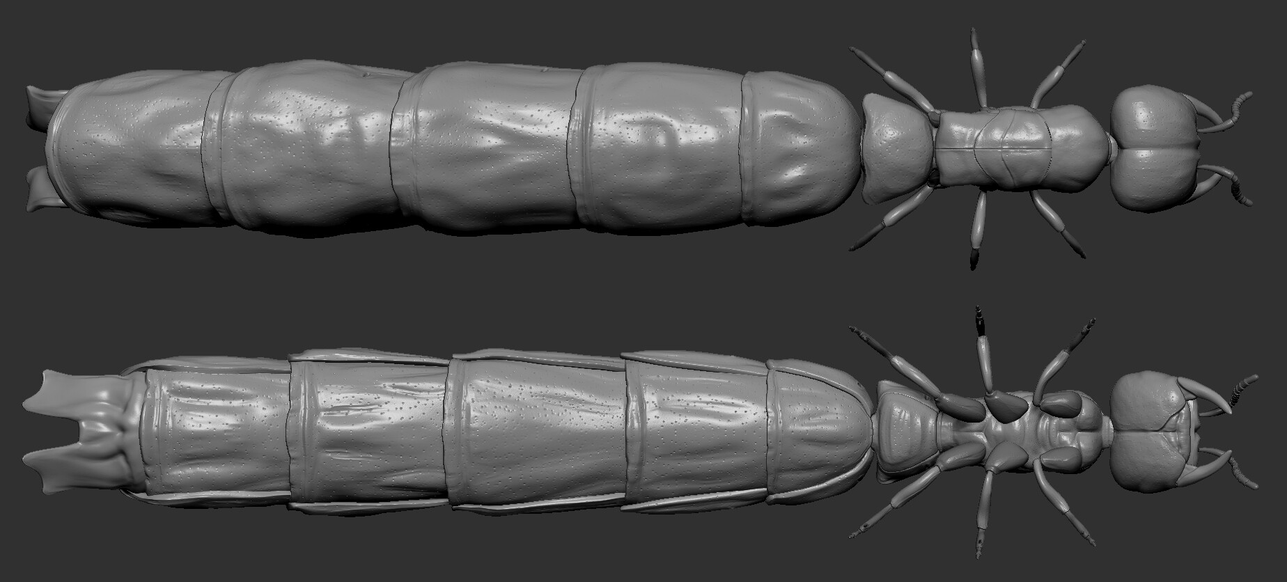 Carlos Quiros - Ant Simulator: ETeeski Edition...Yeah, THAT Ant Simulator.