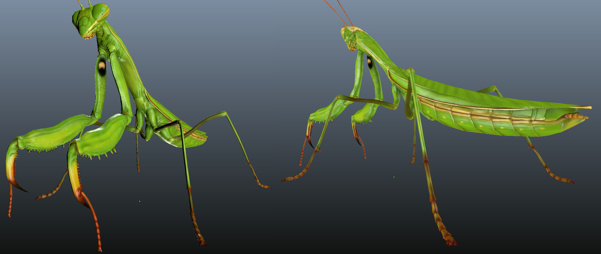 Carlos Quiros - Ant Simulator: ETeeski Edition...Yeah, THAT Ant Simulator.