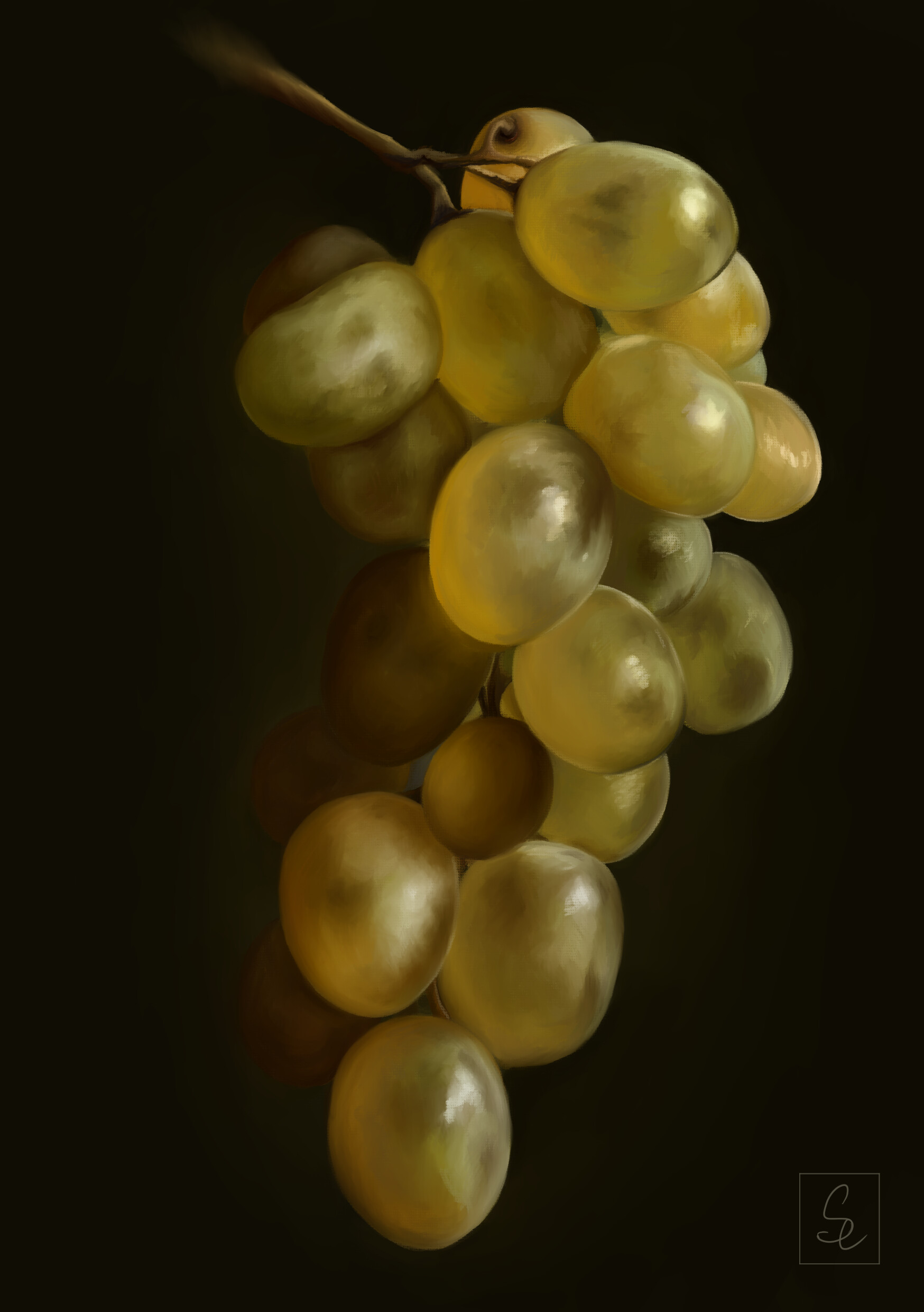 ArtStation - The grapes