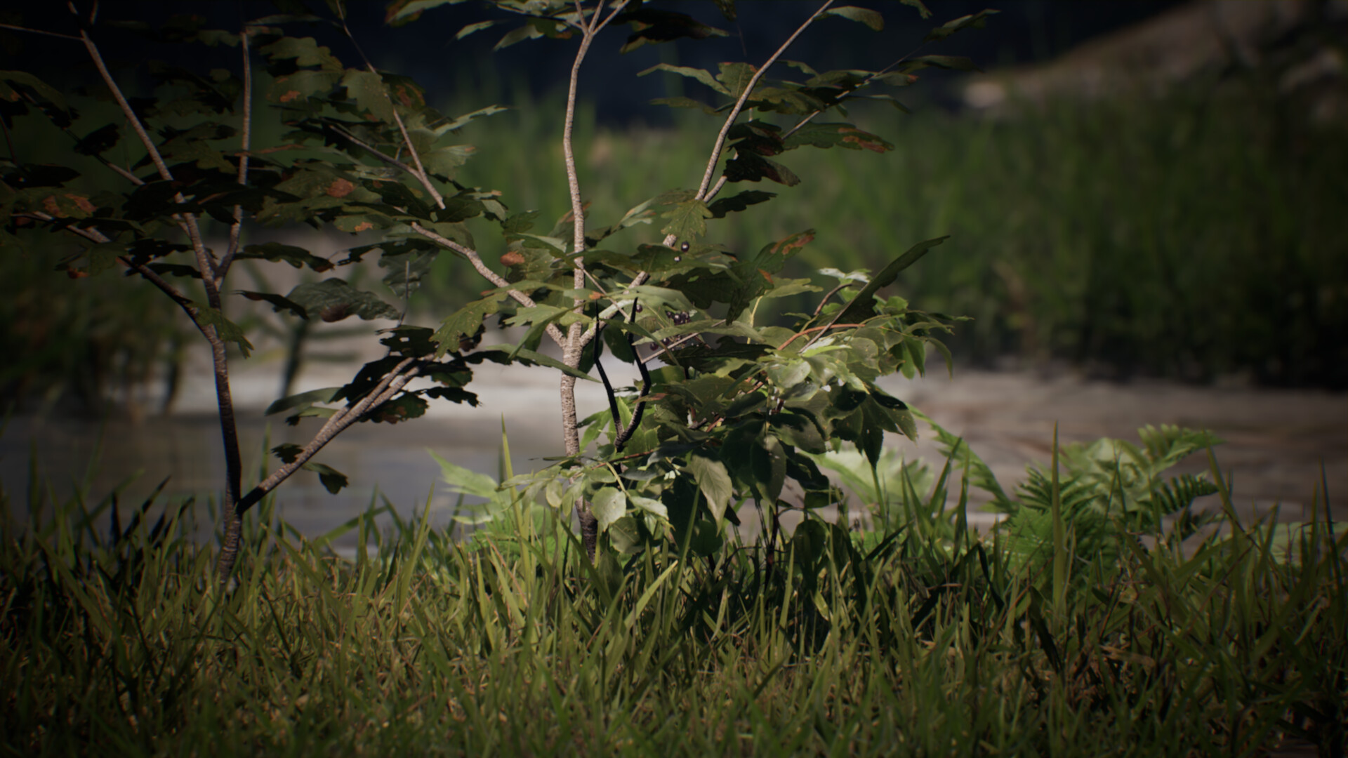 ArtStation - Depth of Field