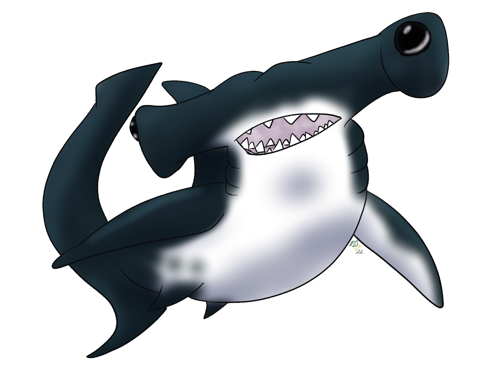 ArtStation - Shark Display Graphics