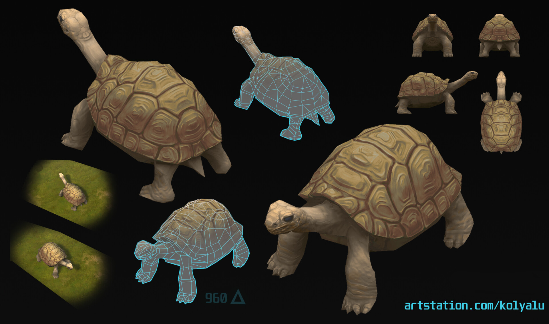 ArtStation - Turtle