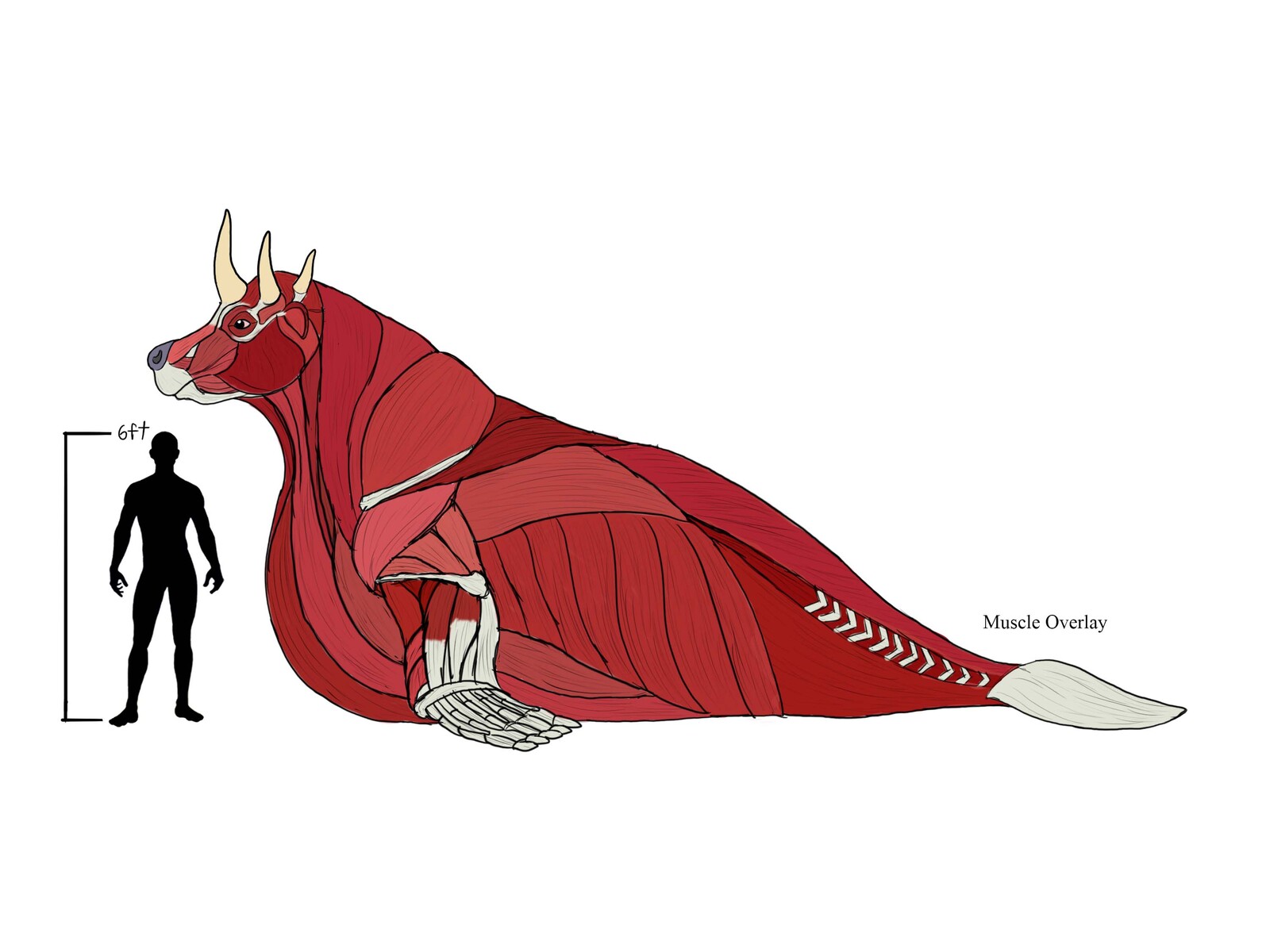 Max Leroux - Quinotaur – 3D Chimera Rig