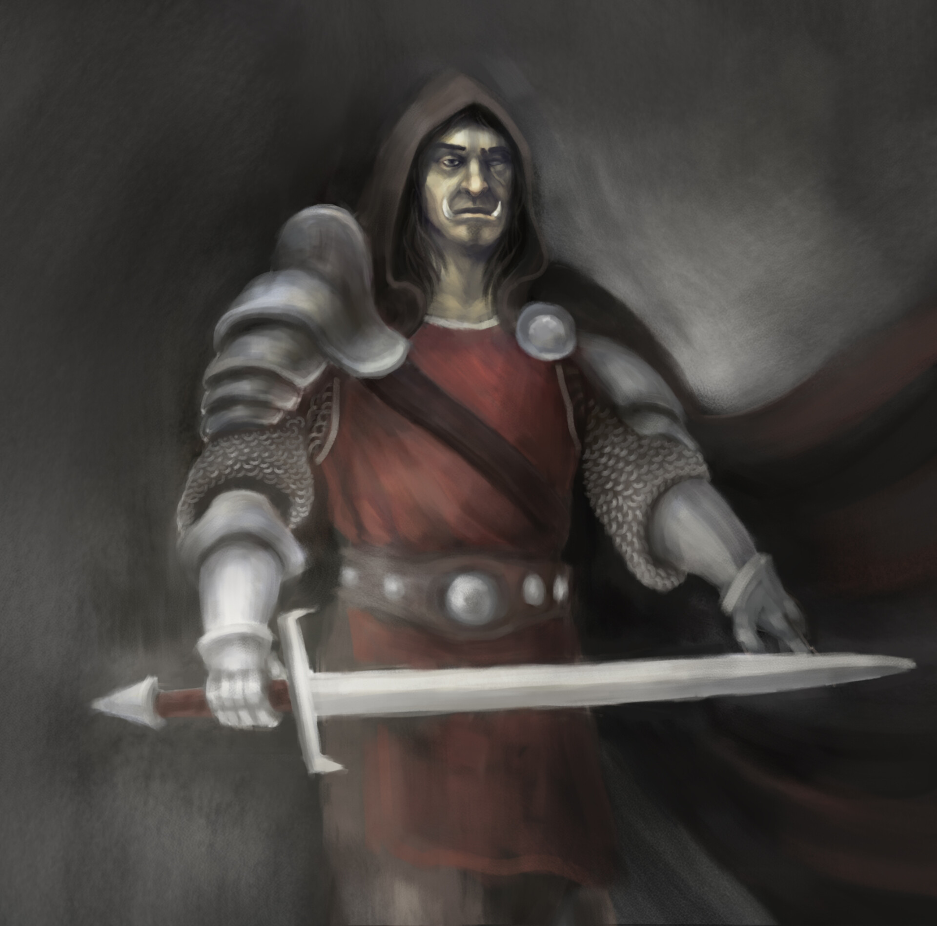 Šimon Paplhám - DnD character illustrations