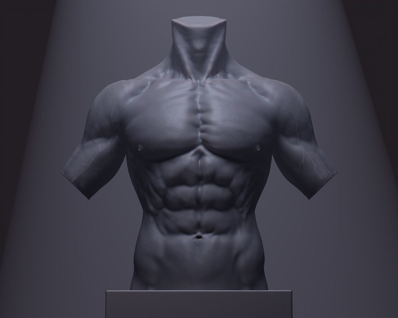 ArtStation - Torso Anatomy Study