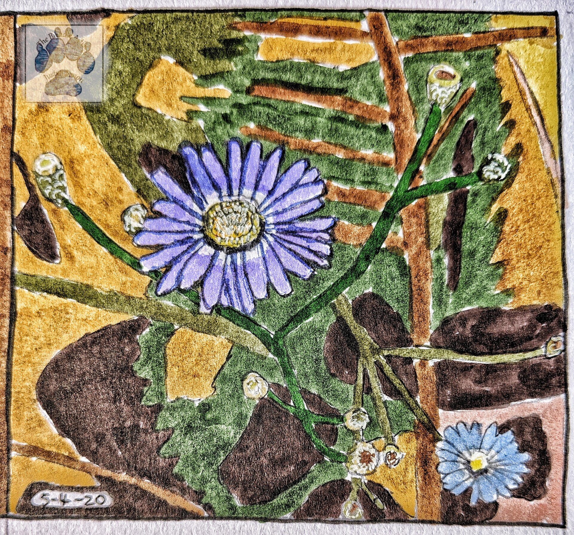 ArtStation - Blooming Marvelous May : Aster