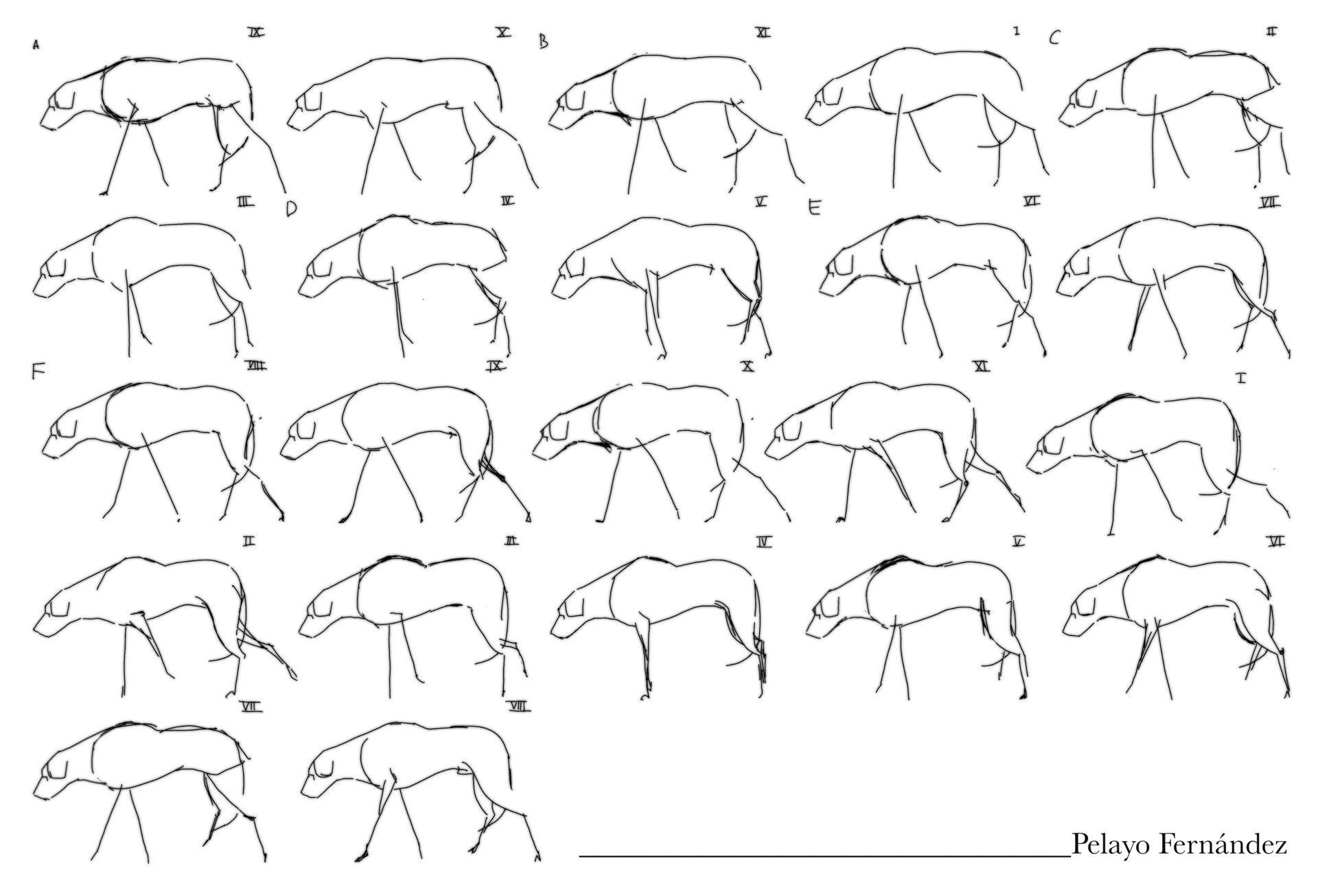 Dog Walk Cycle Reference