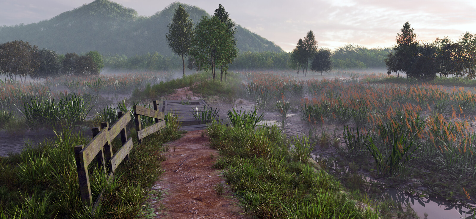 Heshan Kuragama - Wetland