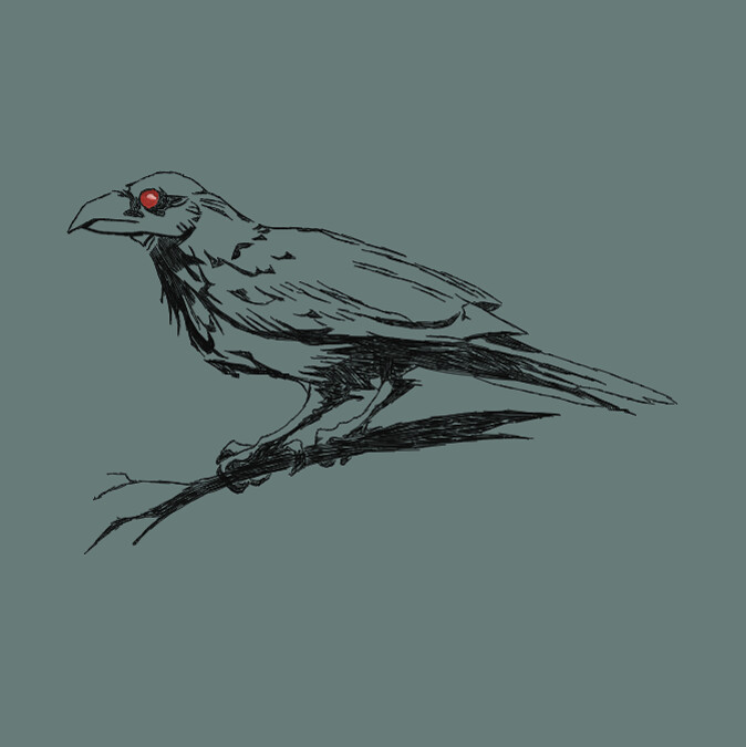 ArtStation - Crow/Raven Photoshop Study