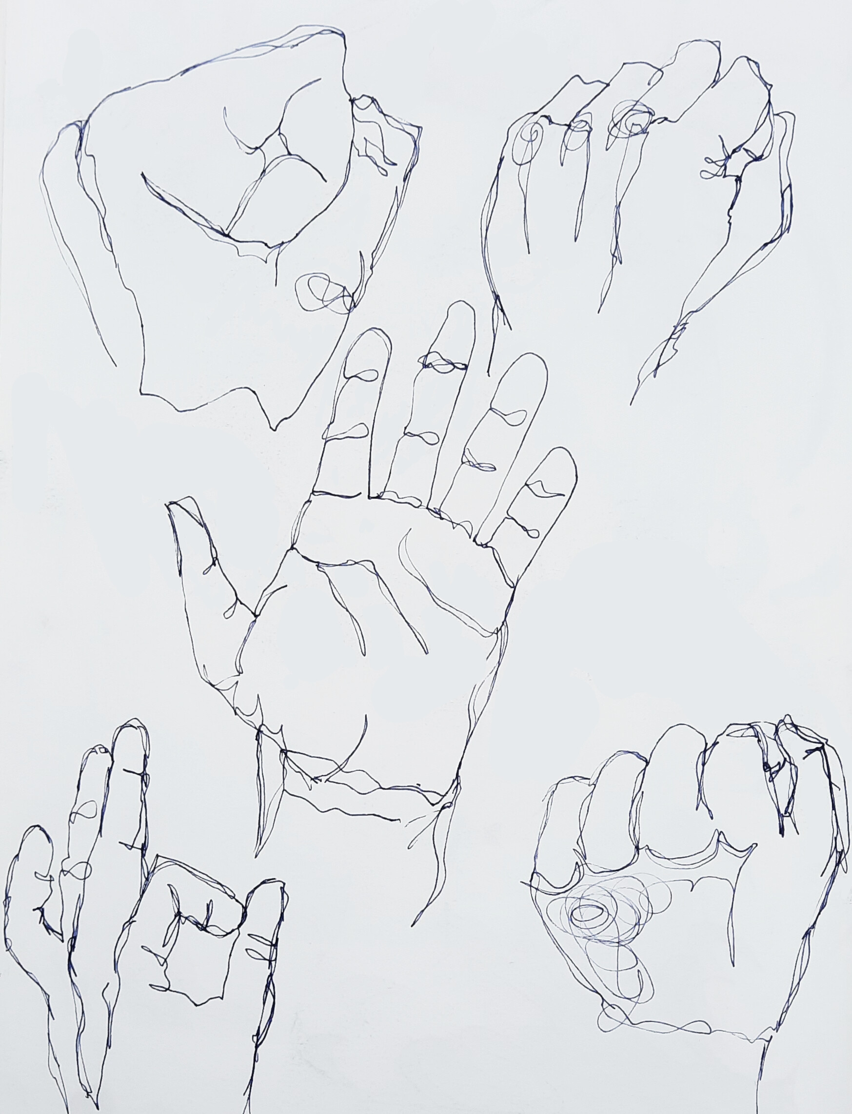 Blind Contour Hand Drawings