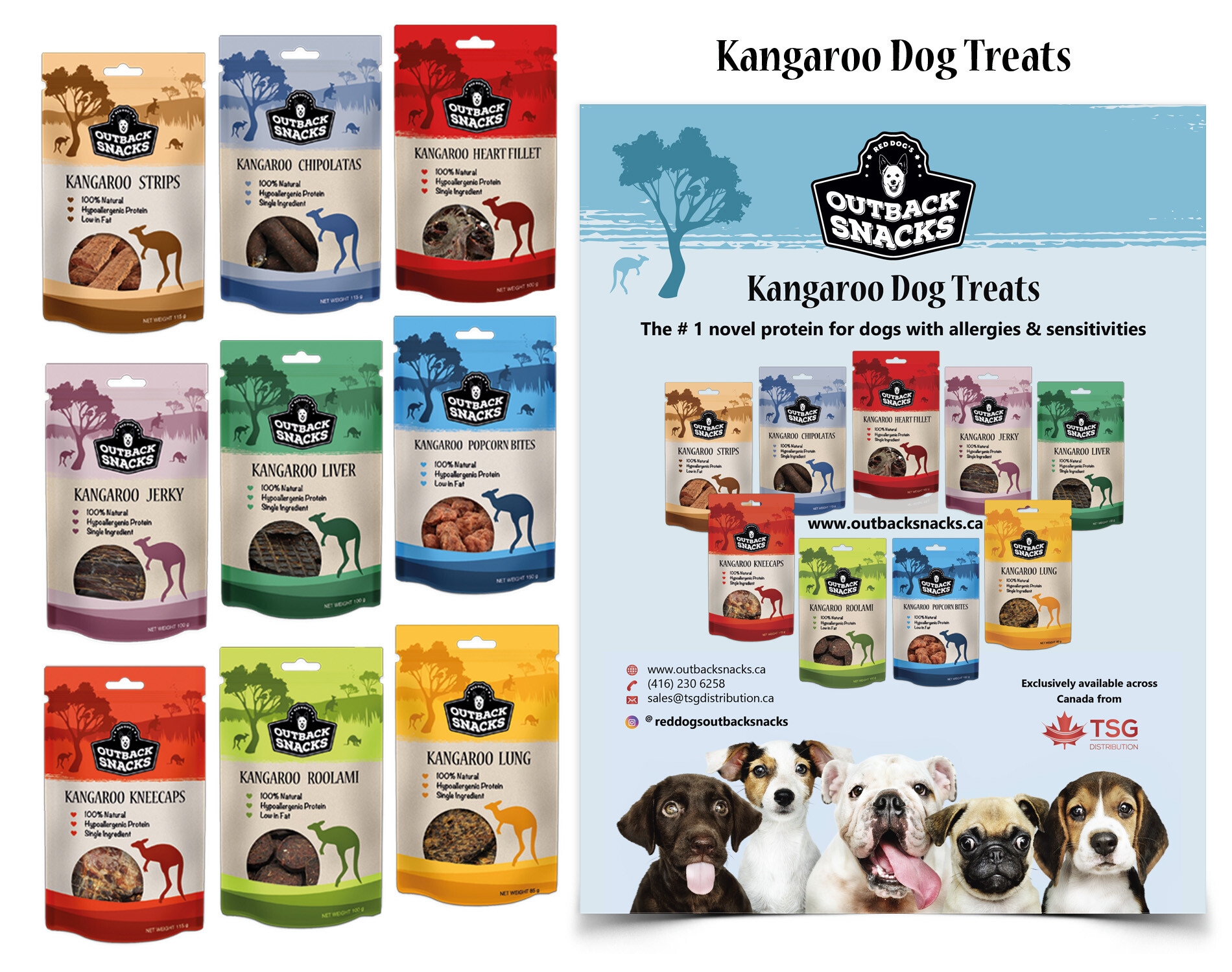 ArtStation - Branding. Kangaroo Dog Treats