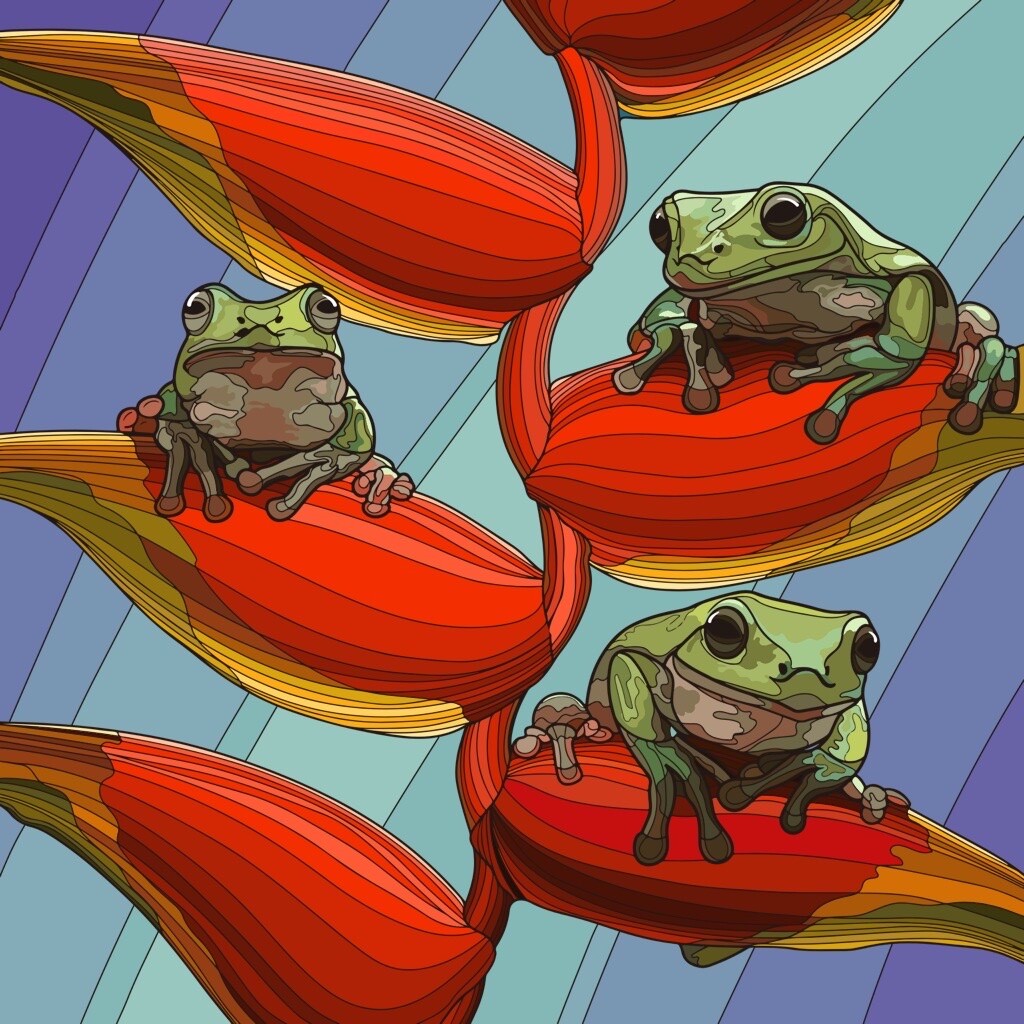 ArtStation - Frogs
