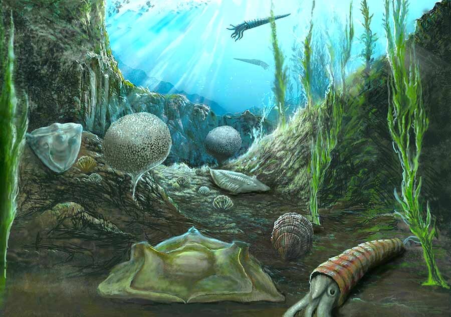 ArtStation - A sea fauna and flora during ordovician period