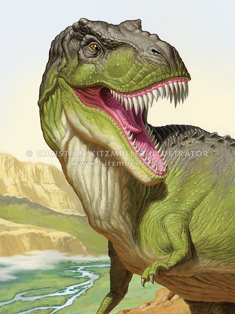 ArtStation - Paleontological Illustrations for Non Fiction Children Book