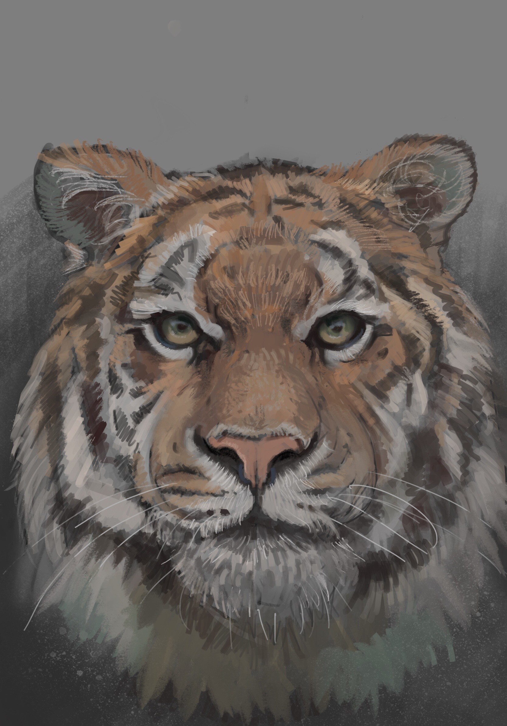 ArtStation - Tiger