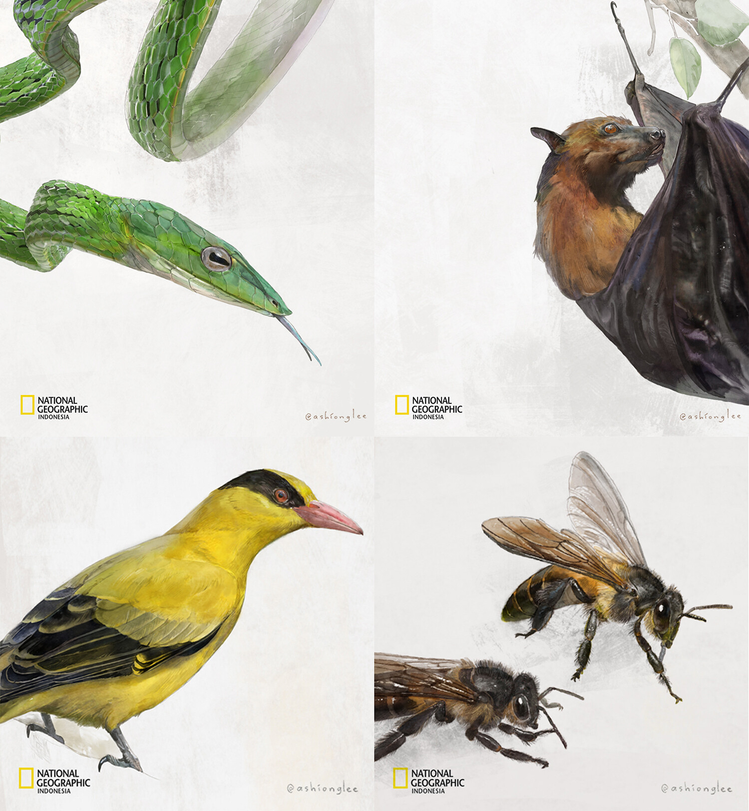 Sandy Lee - National Geographic Indonesia - Kebun Raya Bogor