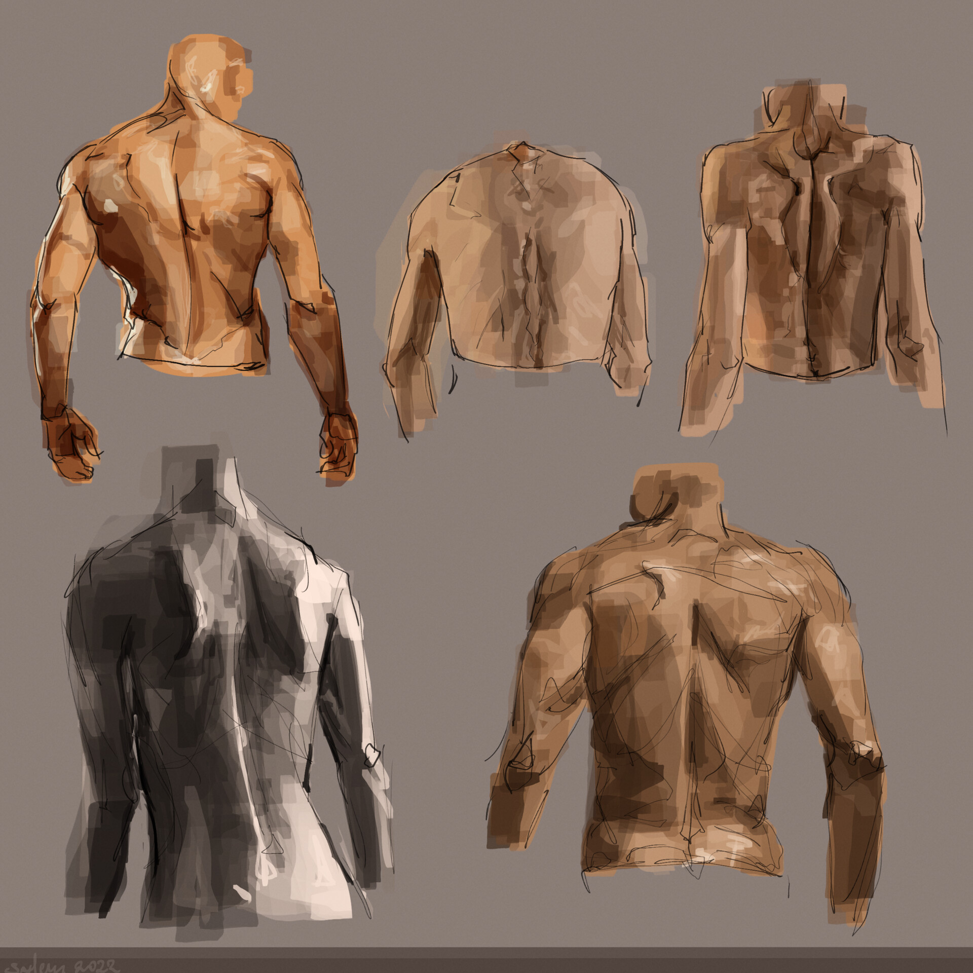 ArtStation - Back studies